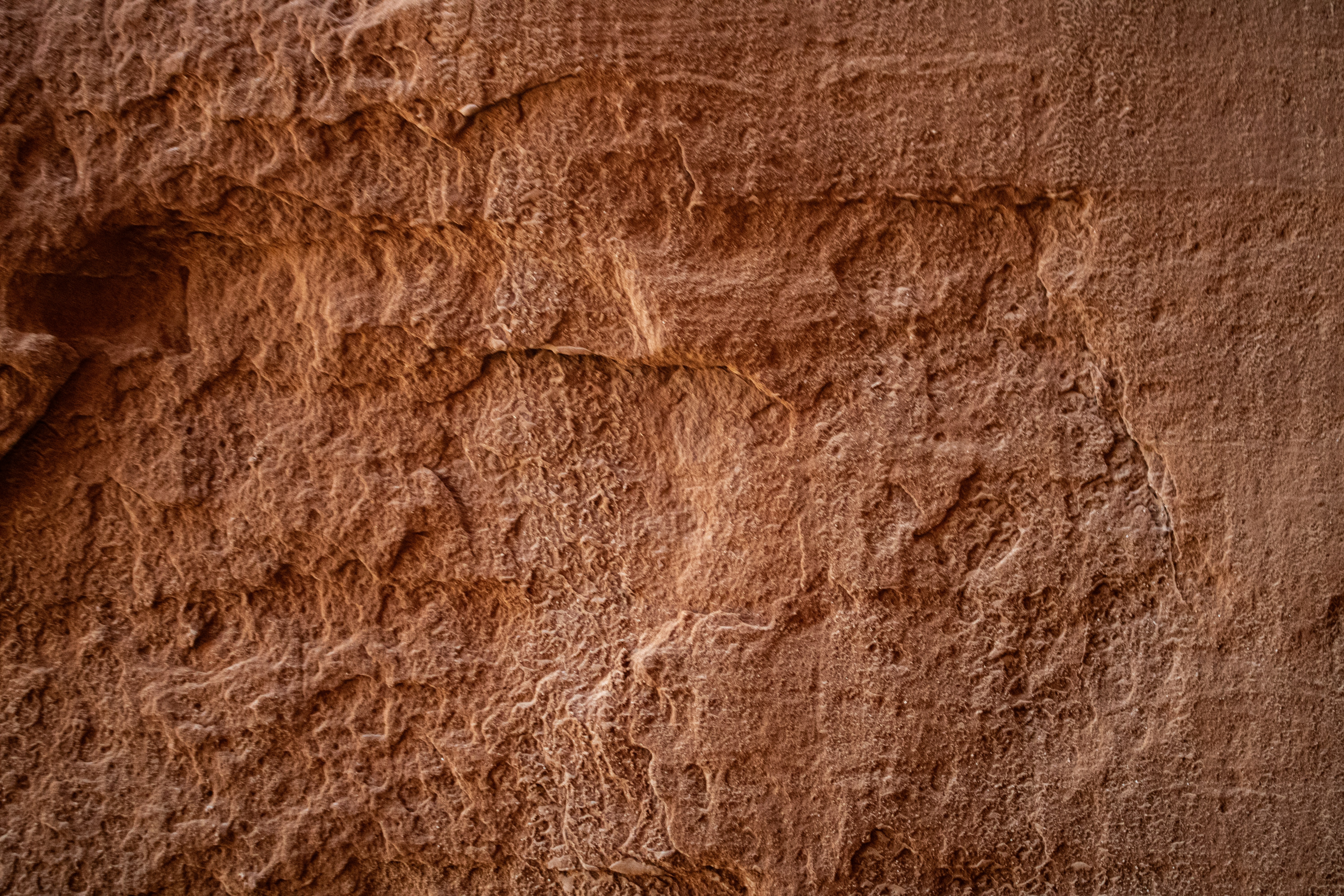 Close-up of textured sandstone wall with intricate patterns and earthy tones.