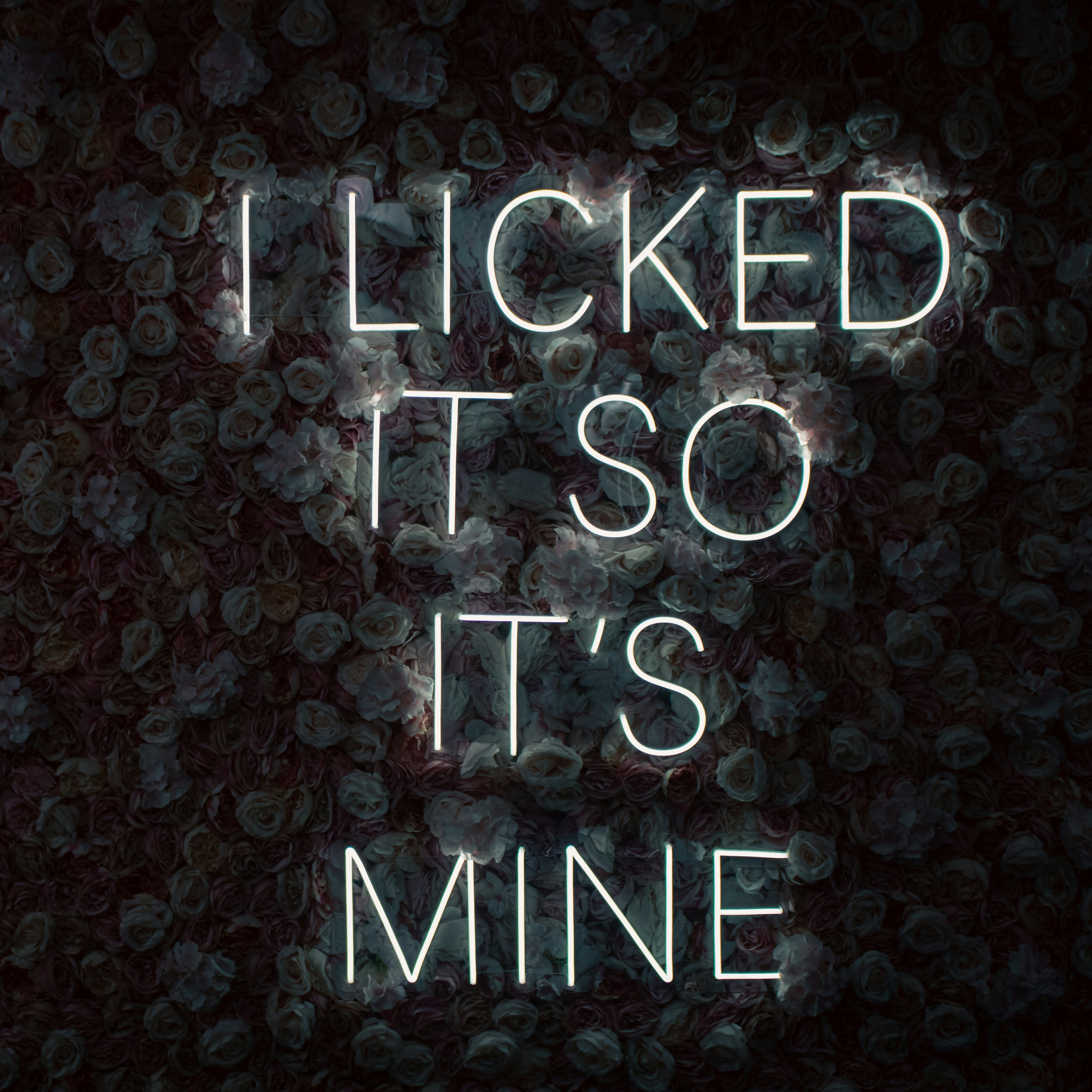 Neon text reading 'I Licked It So It's Mine' against a floral backdrop, creating a playful and bold statement.