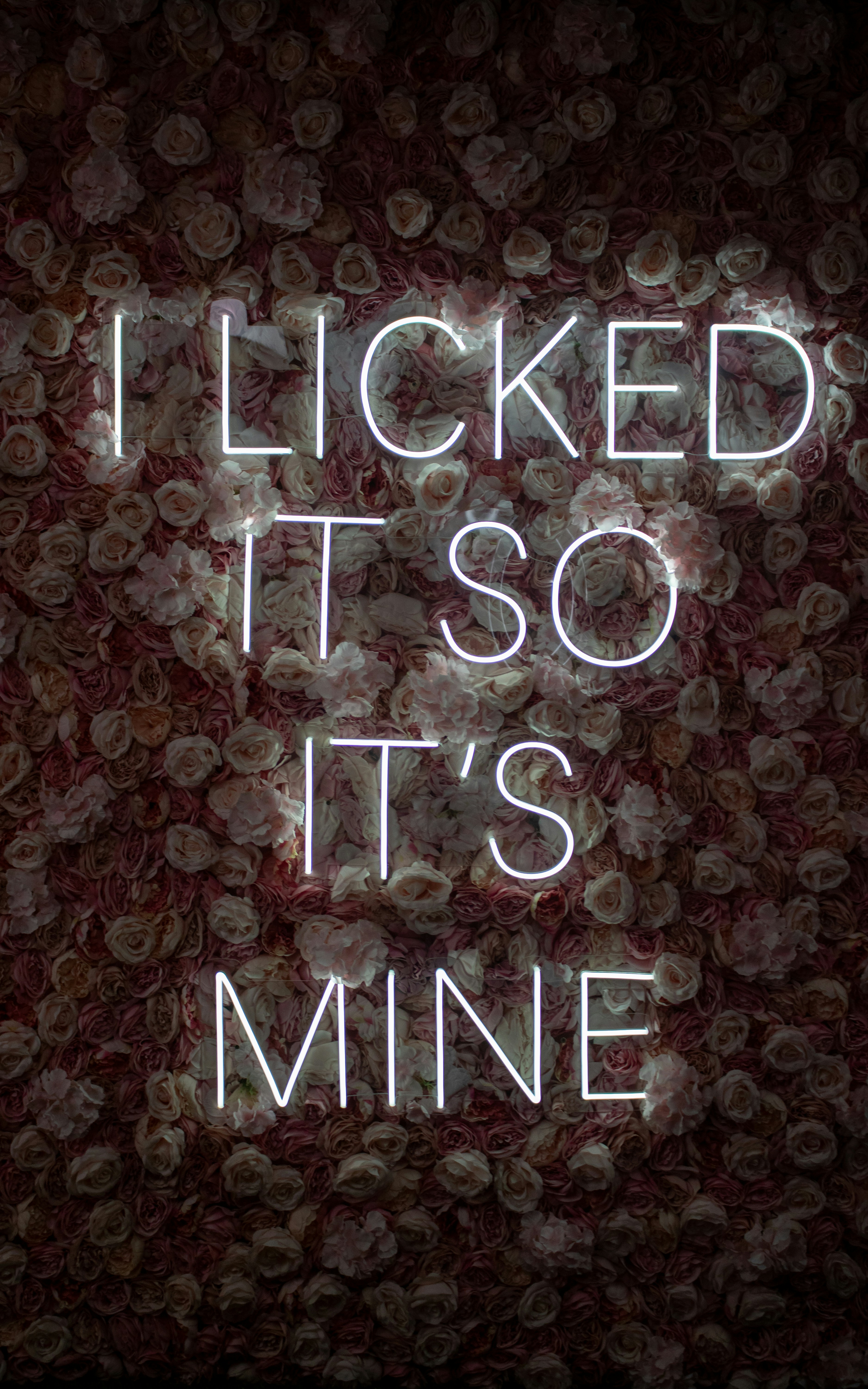 Photo by Zoshua Colah with Canon EOS 750D