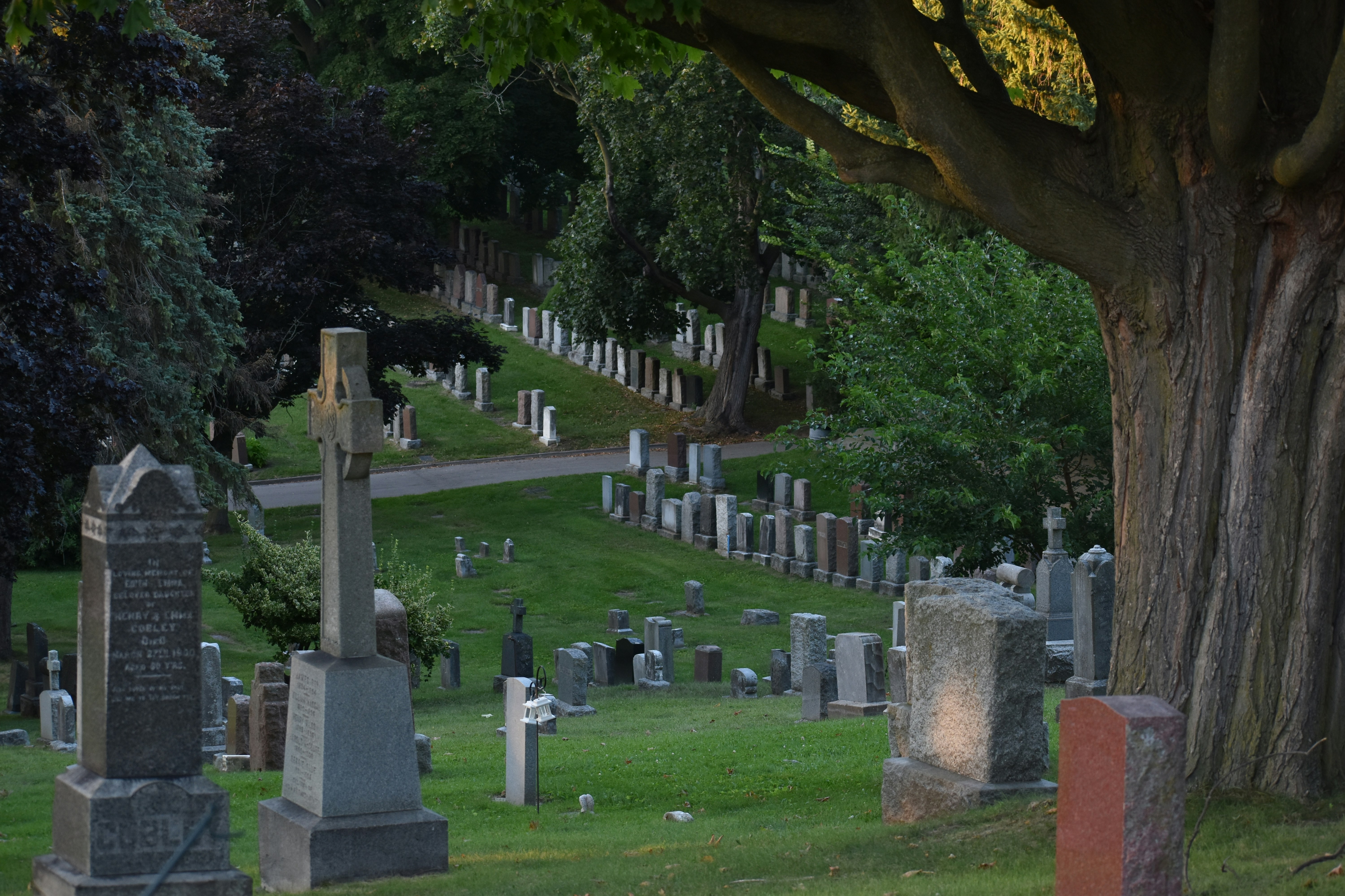 A cemetery with many headstones and trees photo – Free Outdoors Image ...