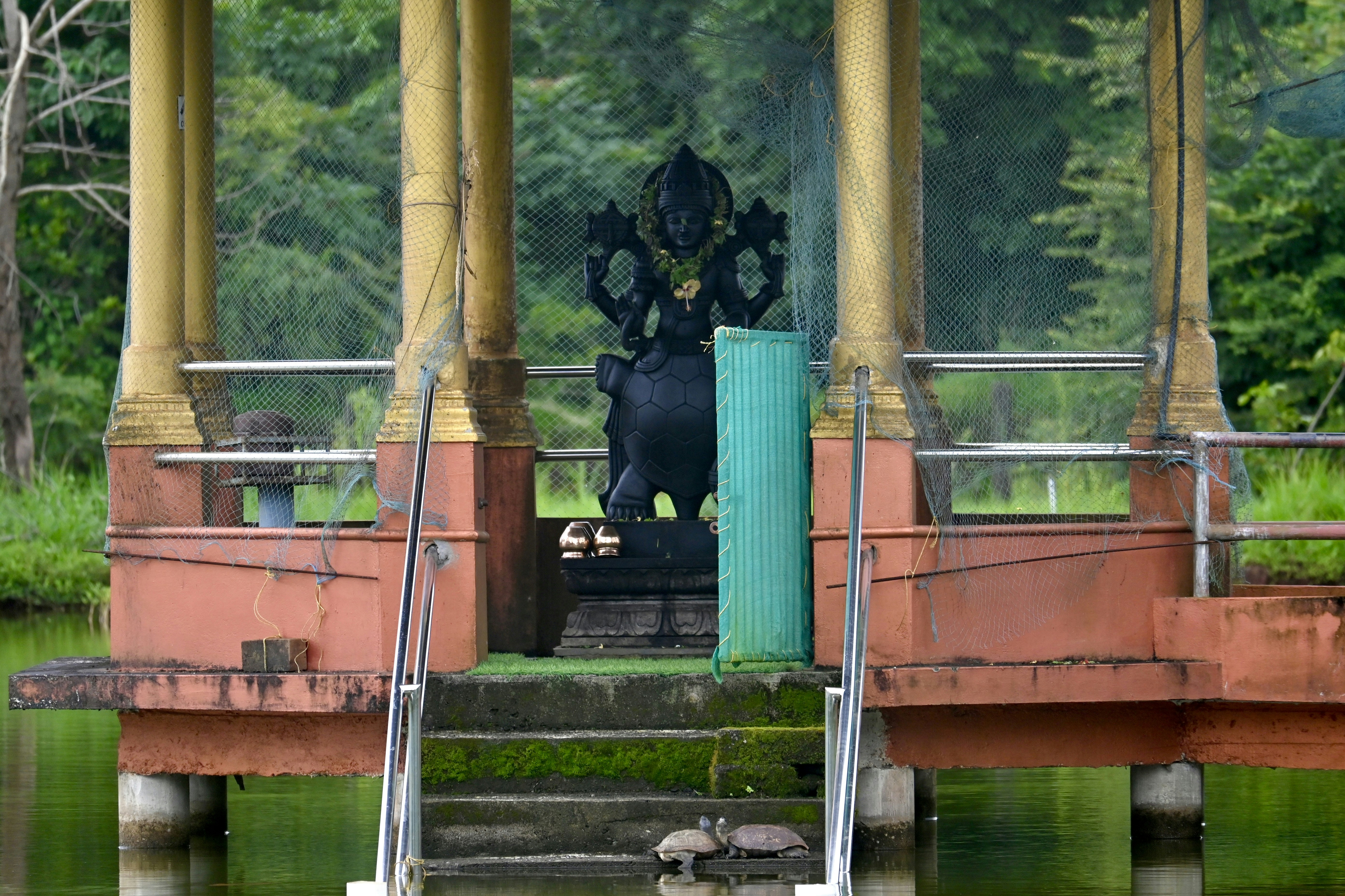 Gilded Shrine Over the Pond: Tranquility in a Green Refuge