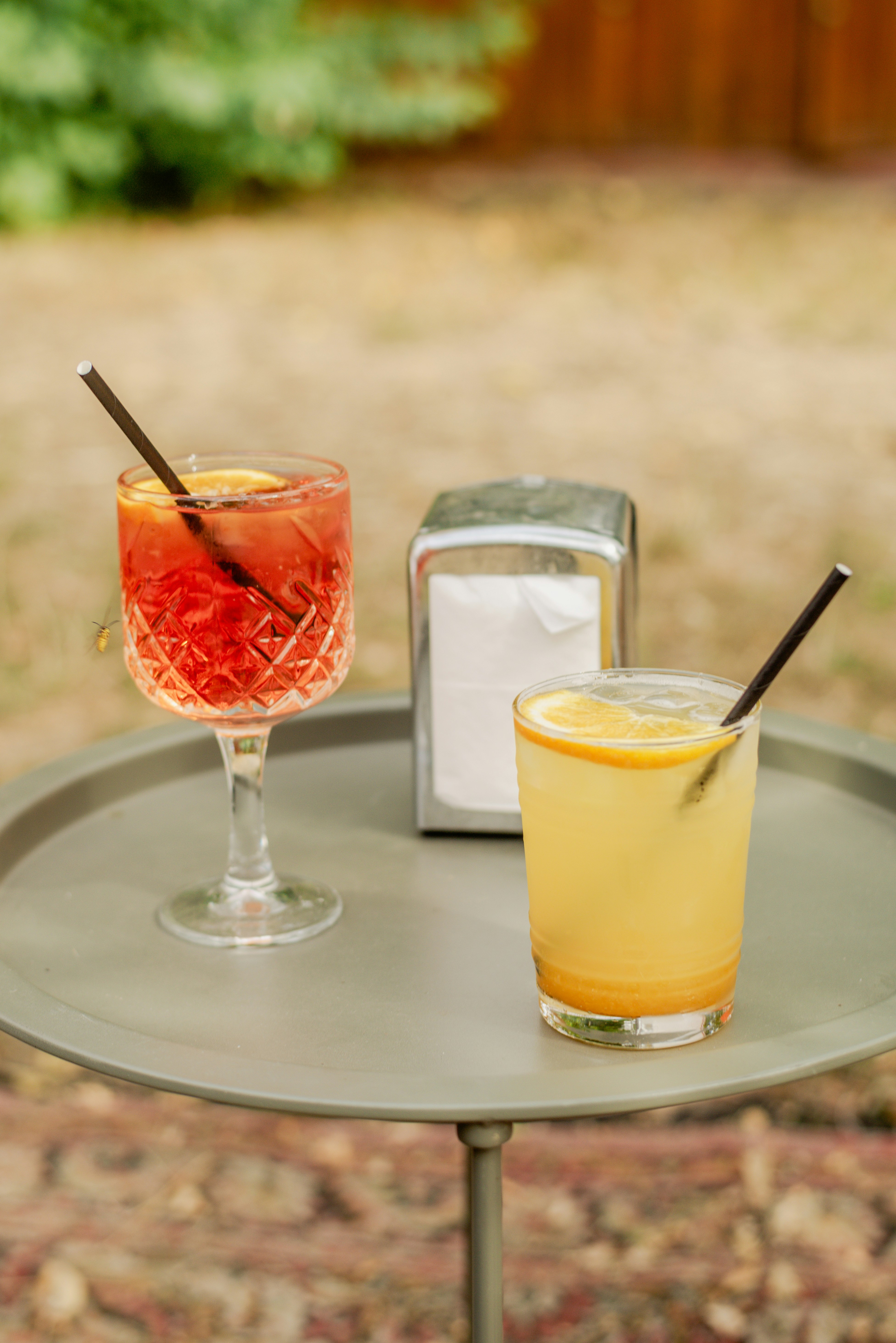 Crimson Spritz Duo on a Quiet Garden Table
