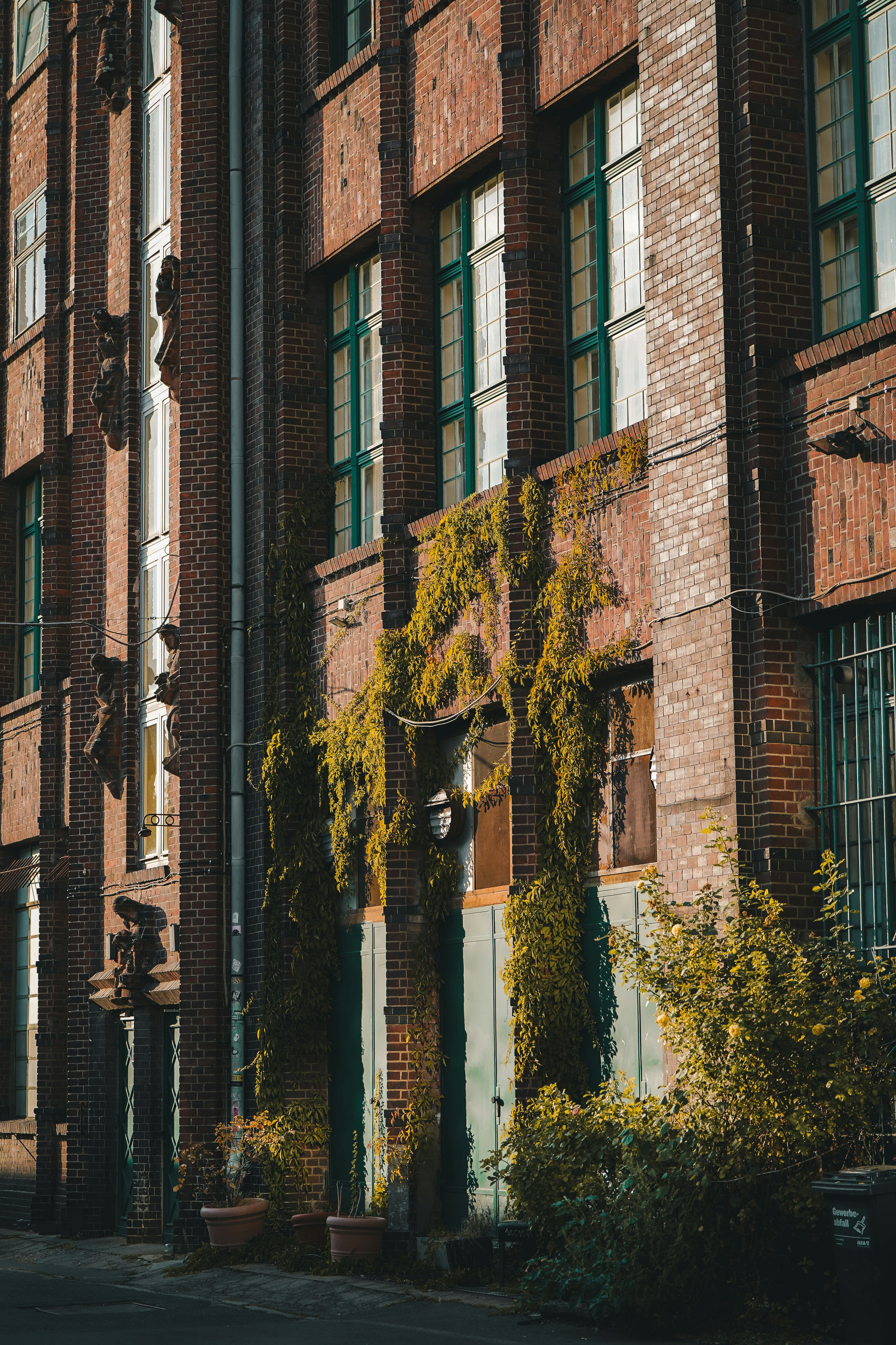 Photo by Kevin Charit with Sony Alpha 7C