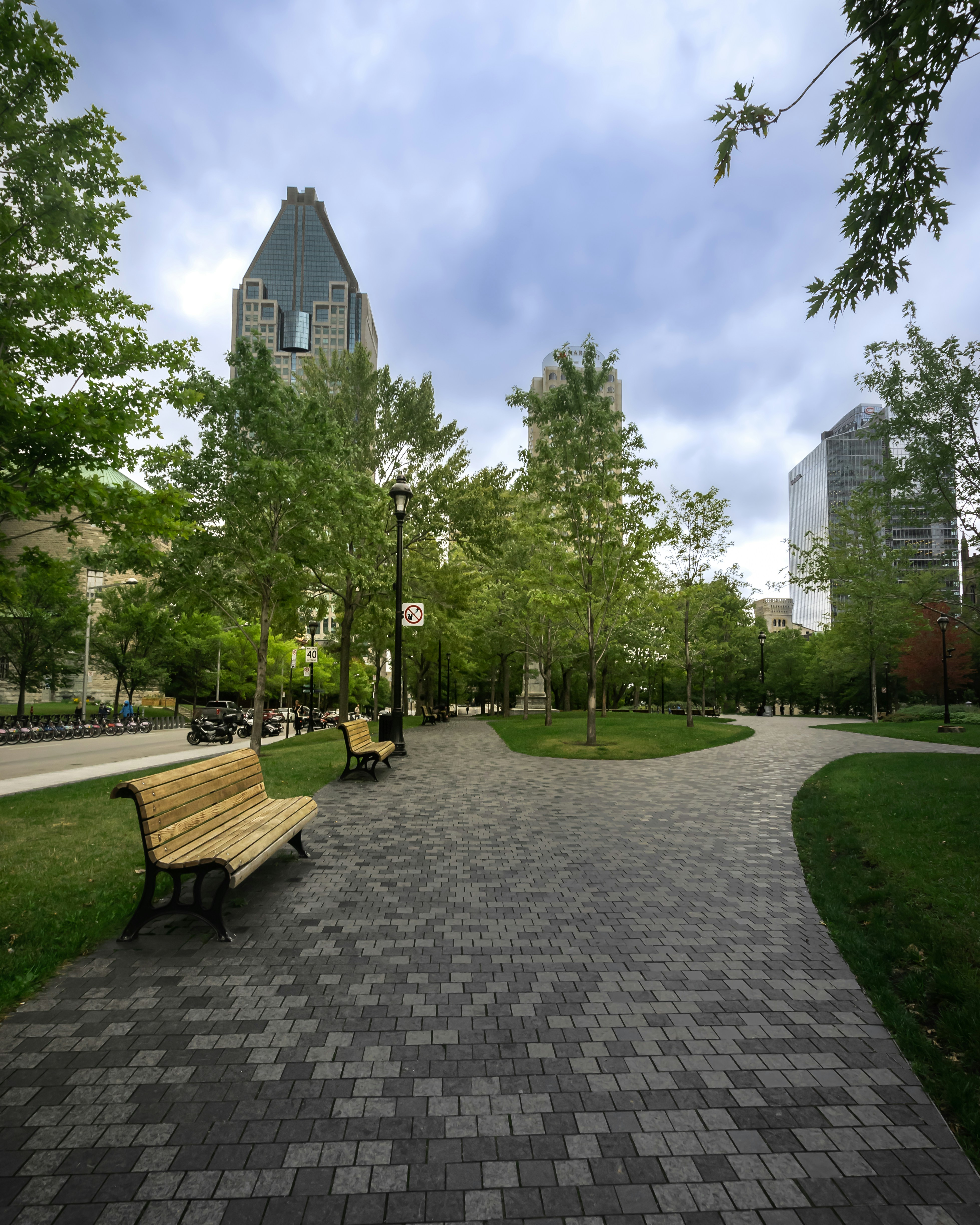 Mid-City Promenade: A Quiet Park Path Toward Towering Skylines