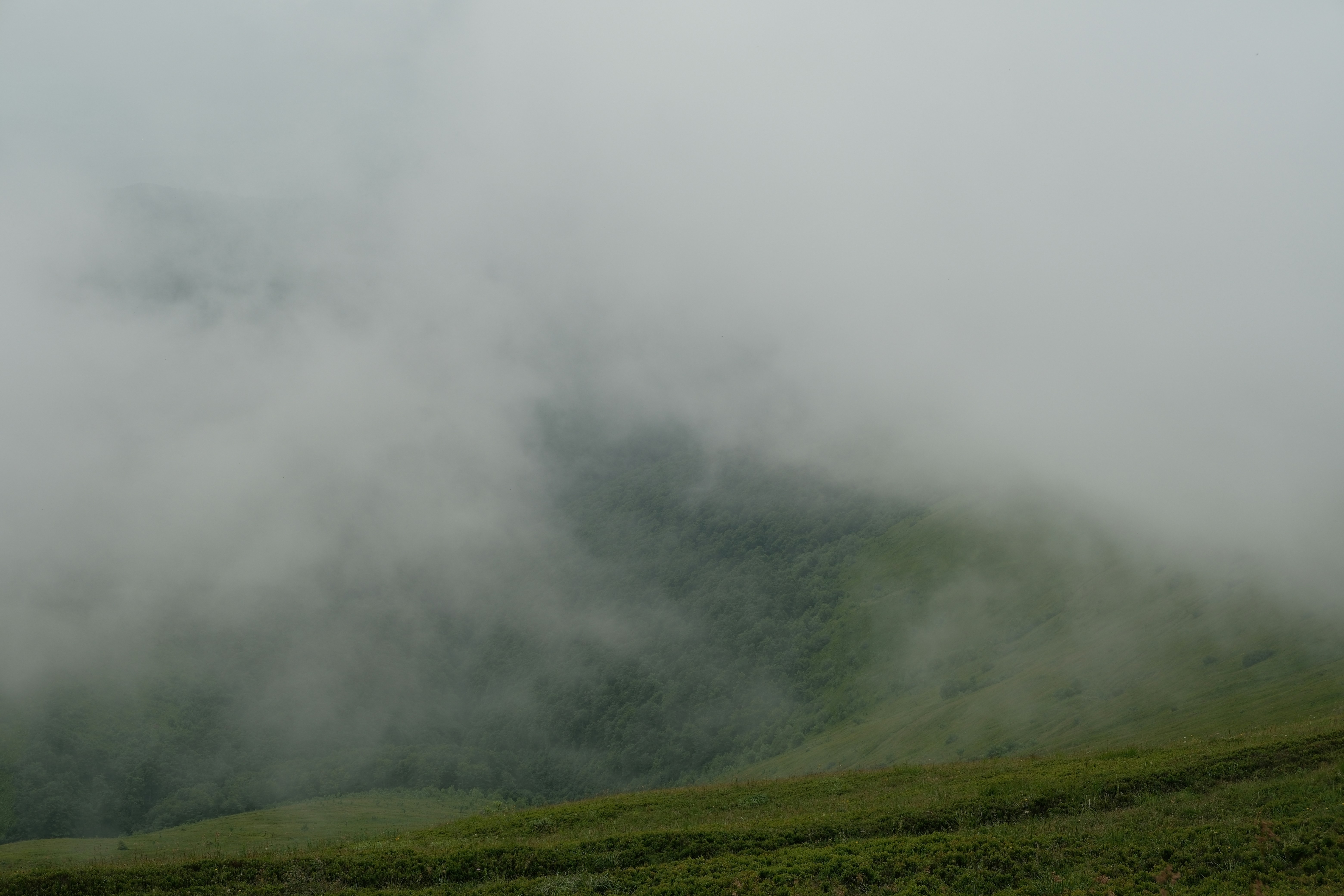 Hiking Rain Pictures | Download Free Images on Unsplash