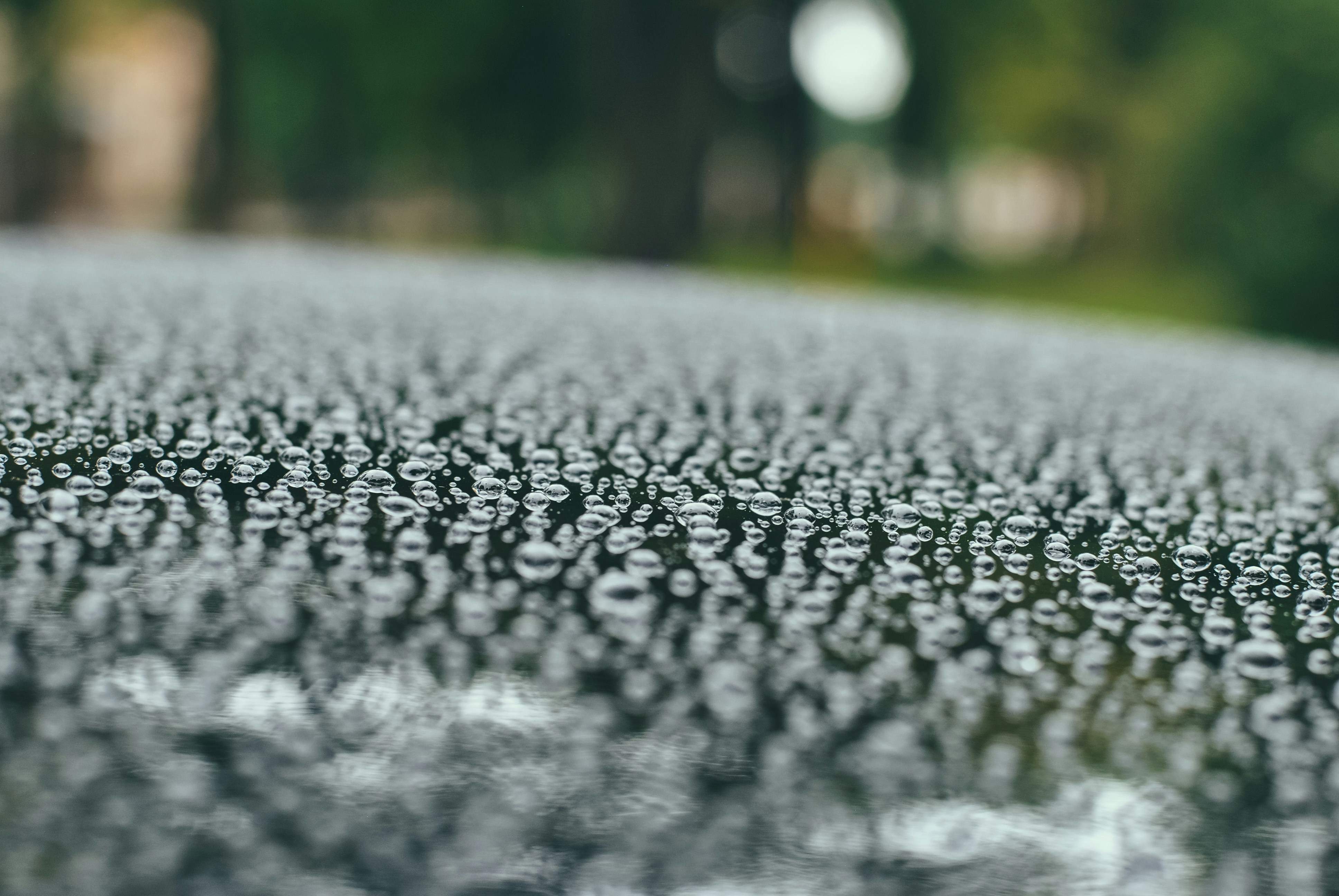 Dew-Kissed Macro Textures on a Wet Surface