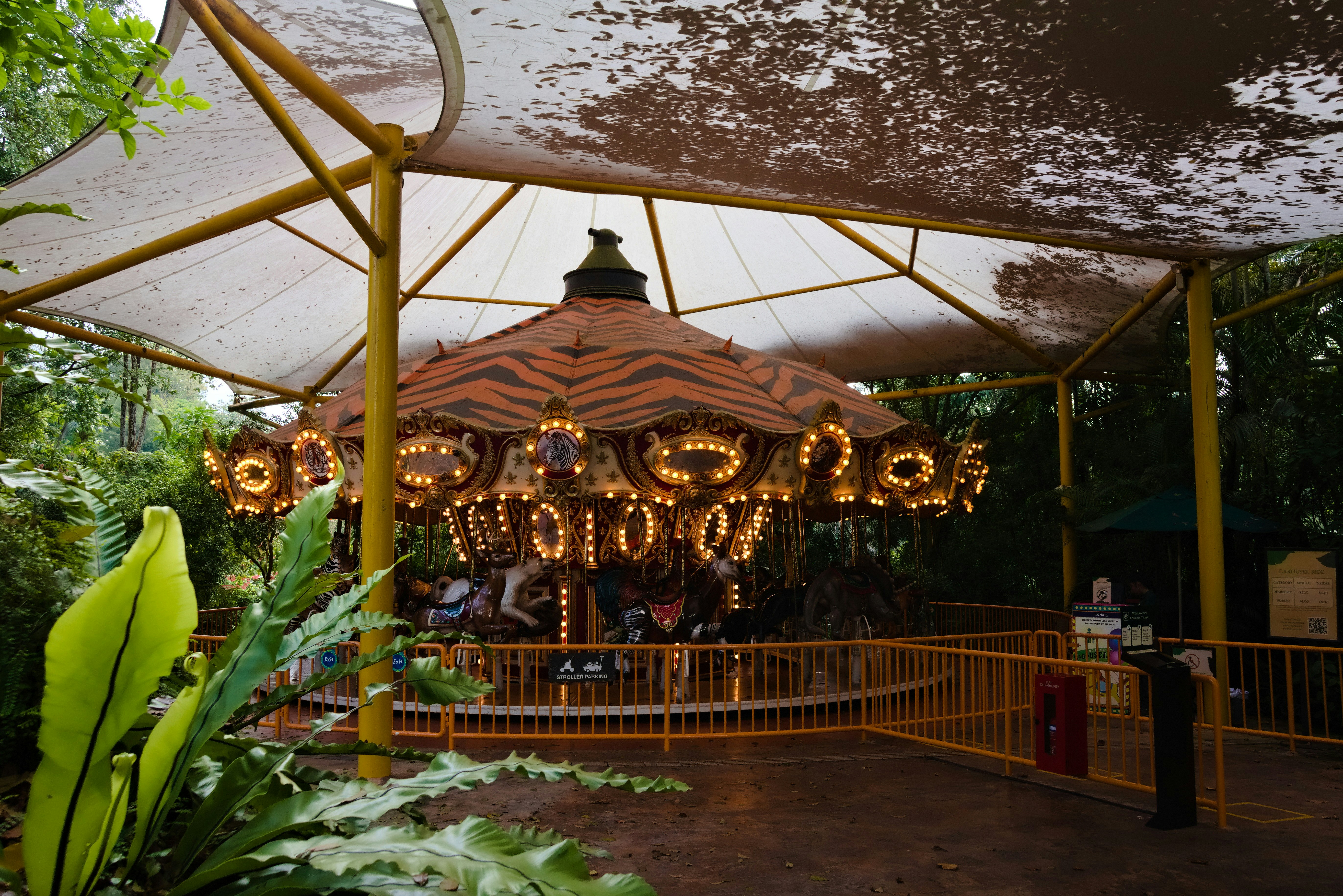Amber-lit Carousel Under a Tropical Canopy