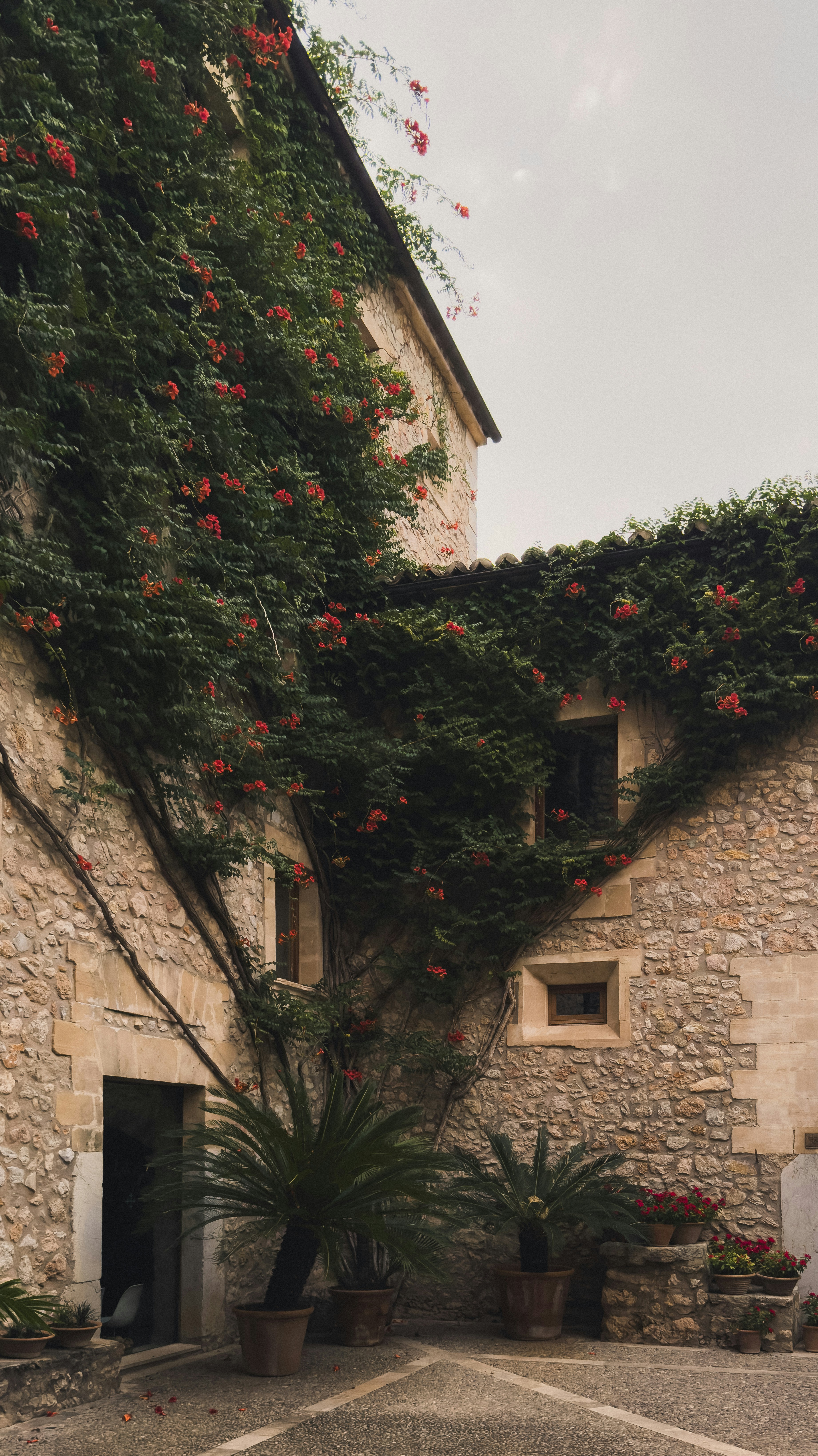 Photo by Aleksandr Zaitsev with Apple iPhone 15 Pro Max