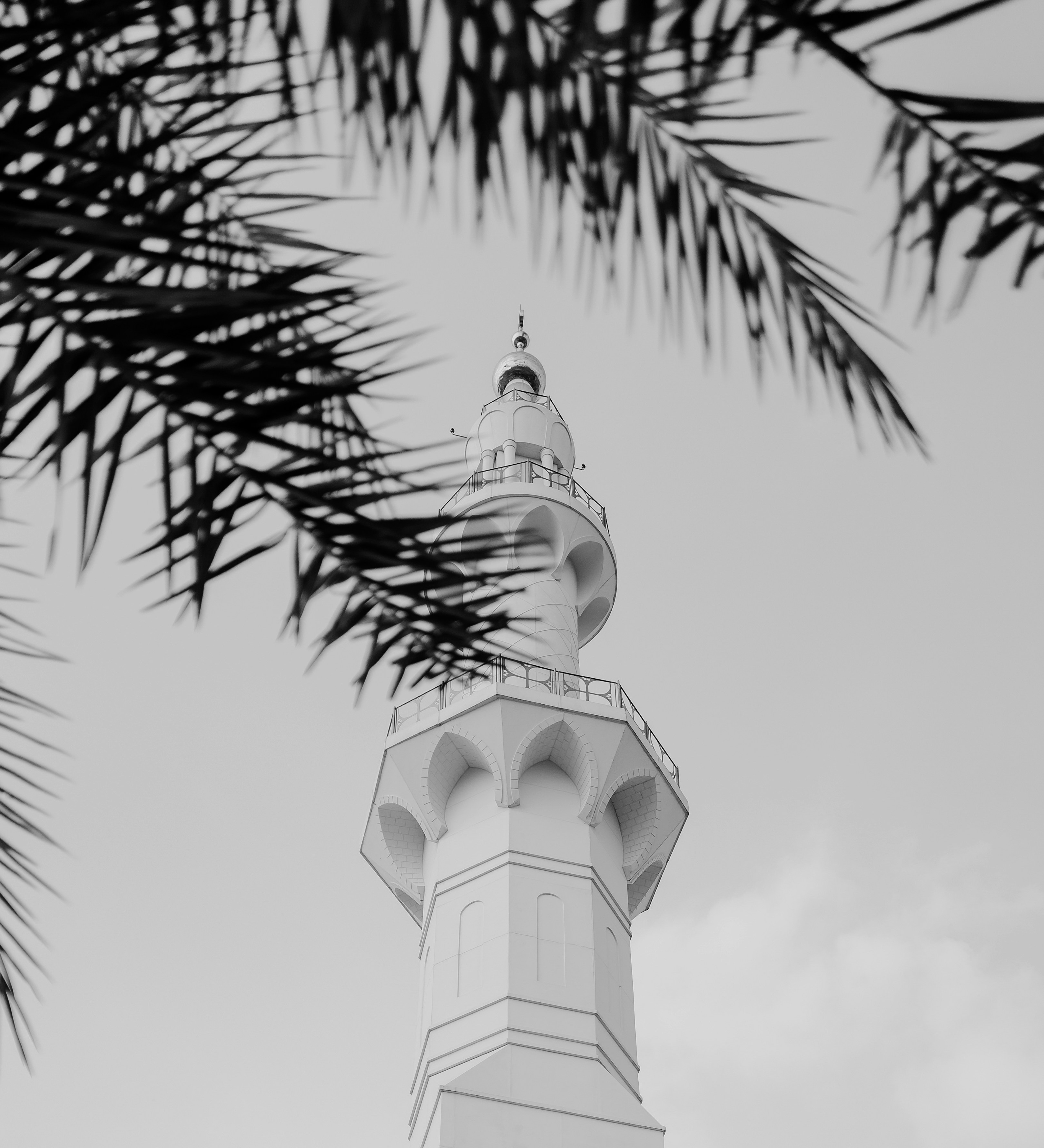 Palm-Framed Lighthouse in Monochrome