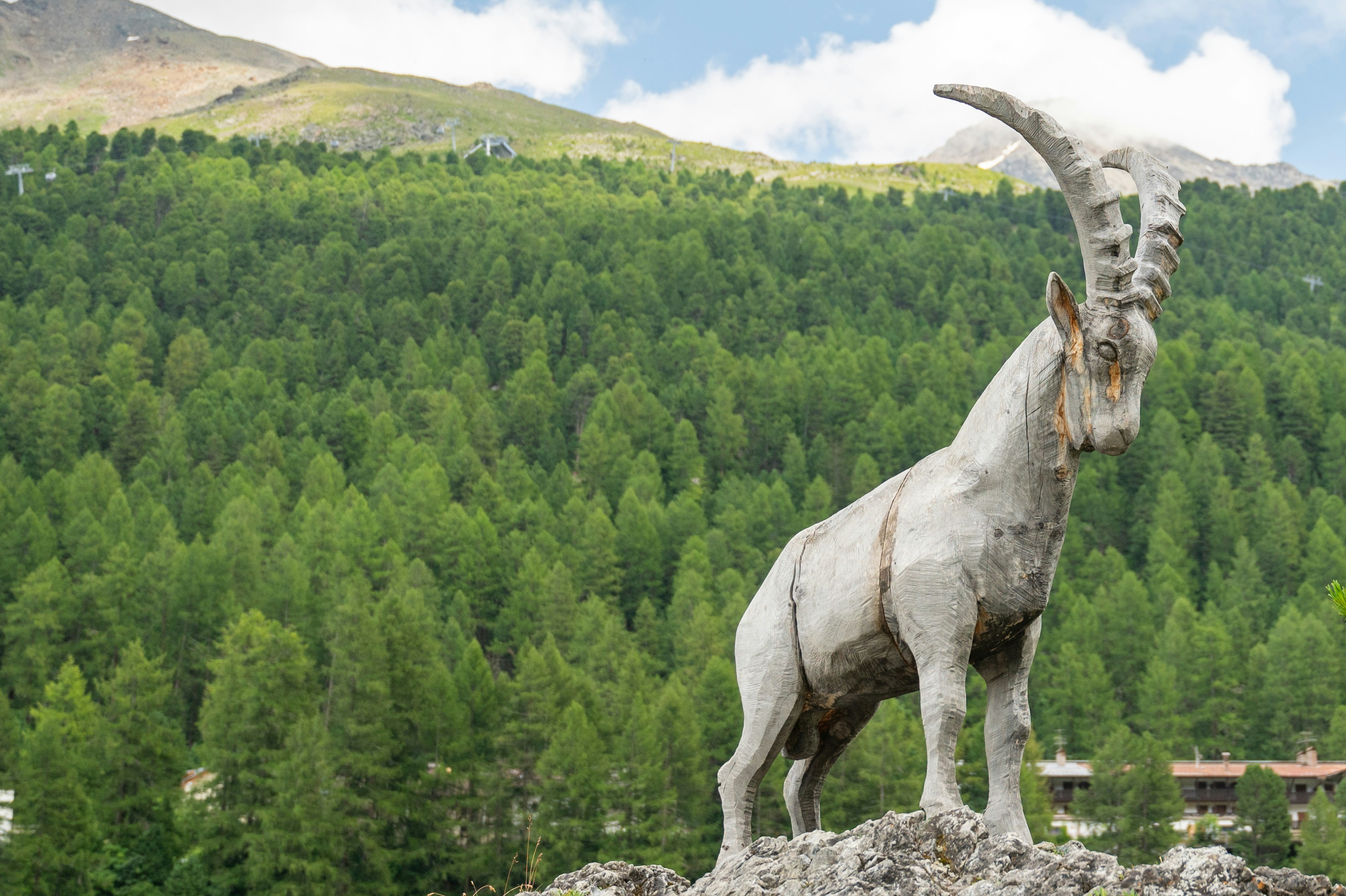 Stone Sentinel: Alpine ibex statue surveying a pine valley