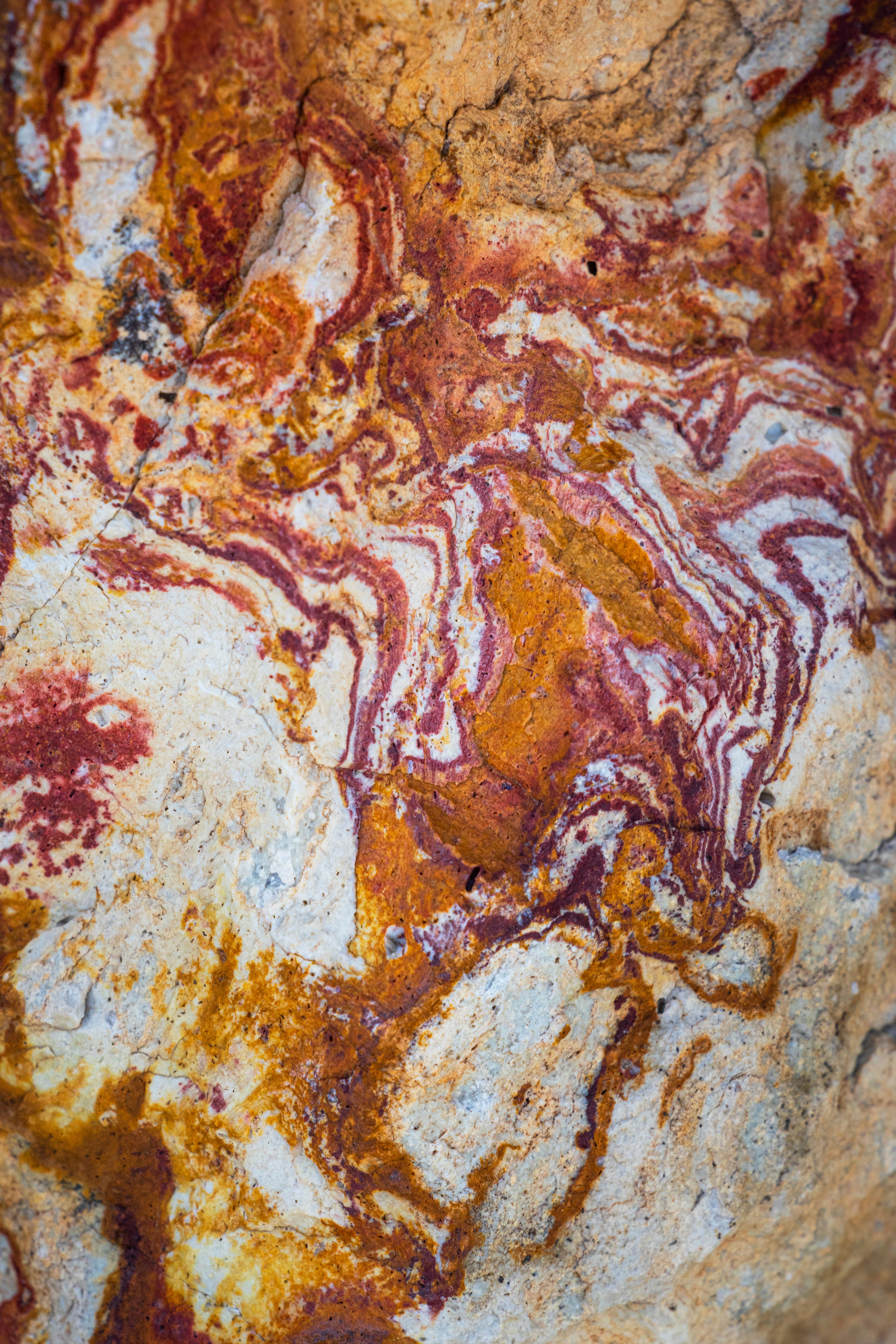 Sample photo from Canon EOS R7