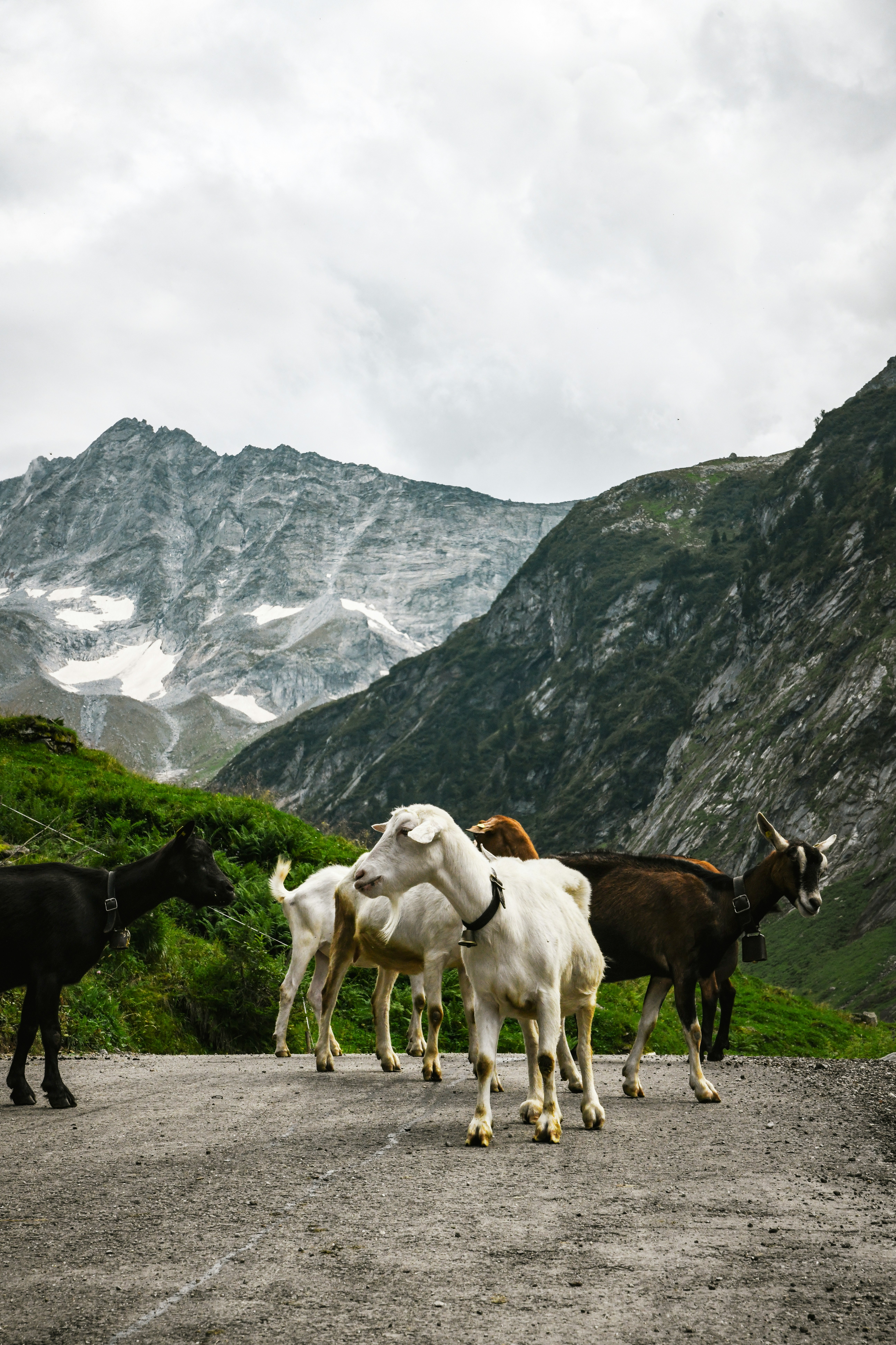 Photo by Natalia Marcelewicz with Nikon D850