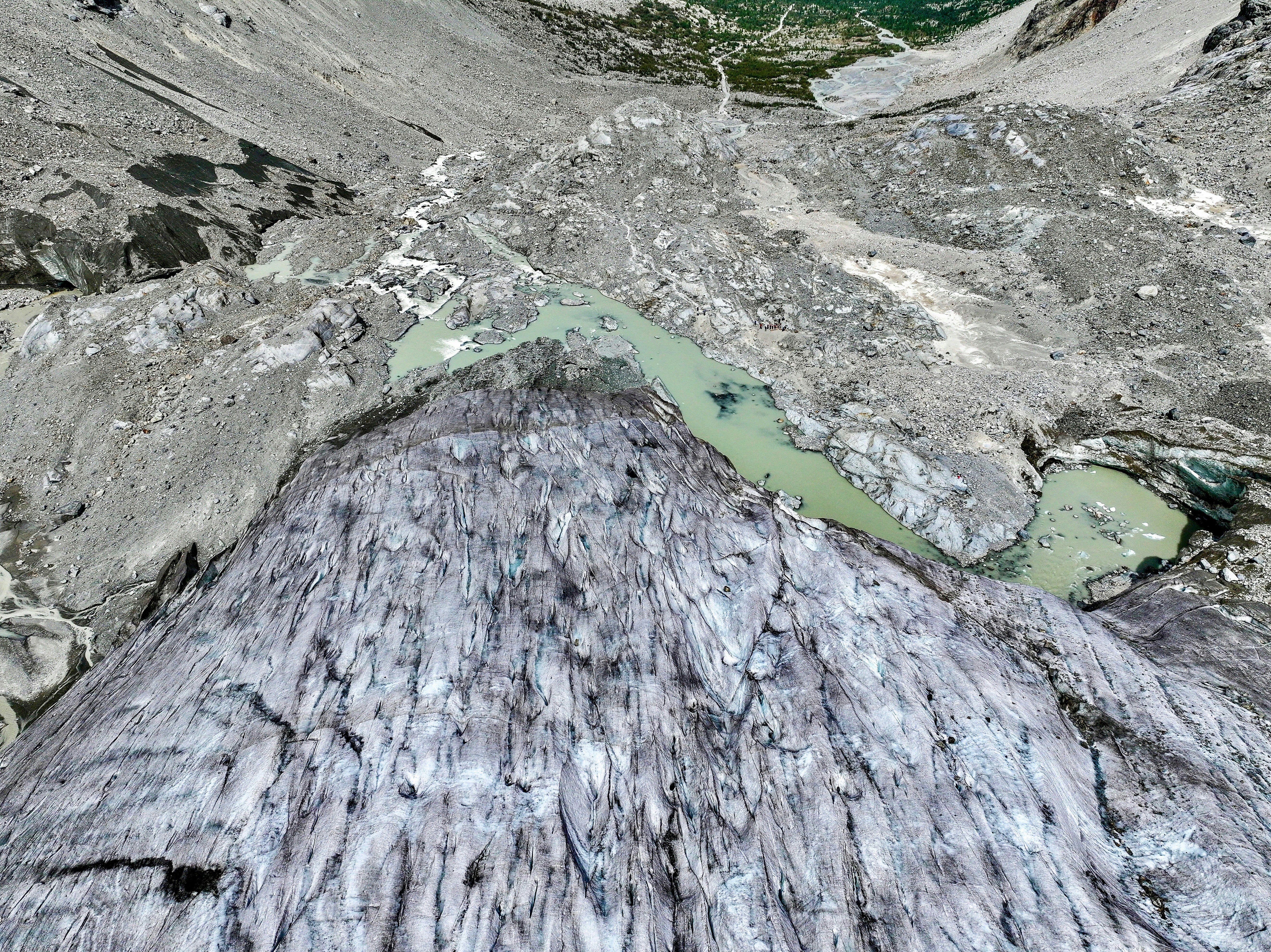 Emerald Ribbon Winding Through Weathered Granite