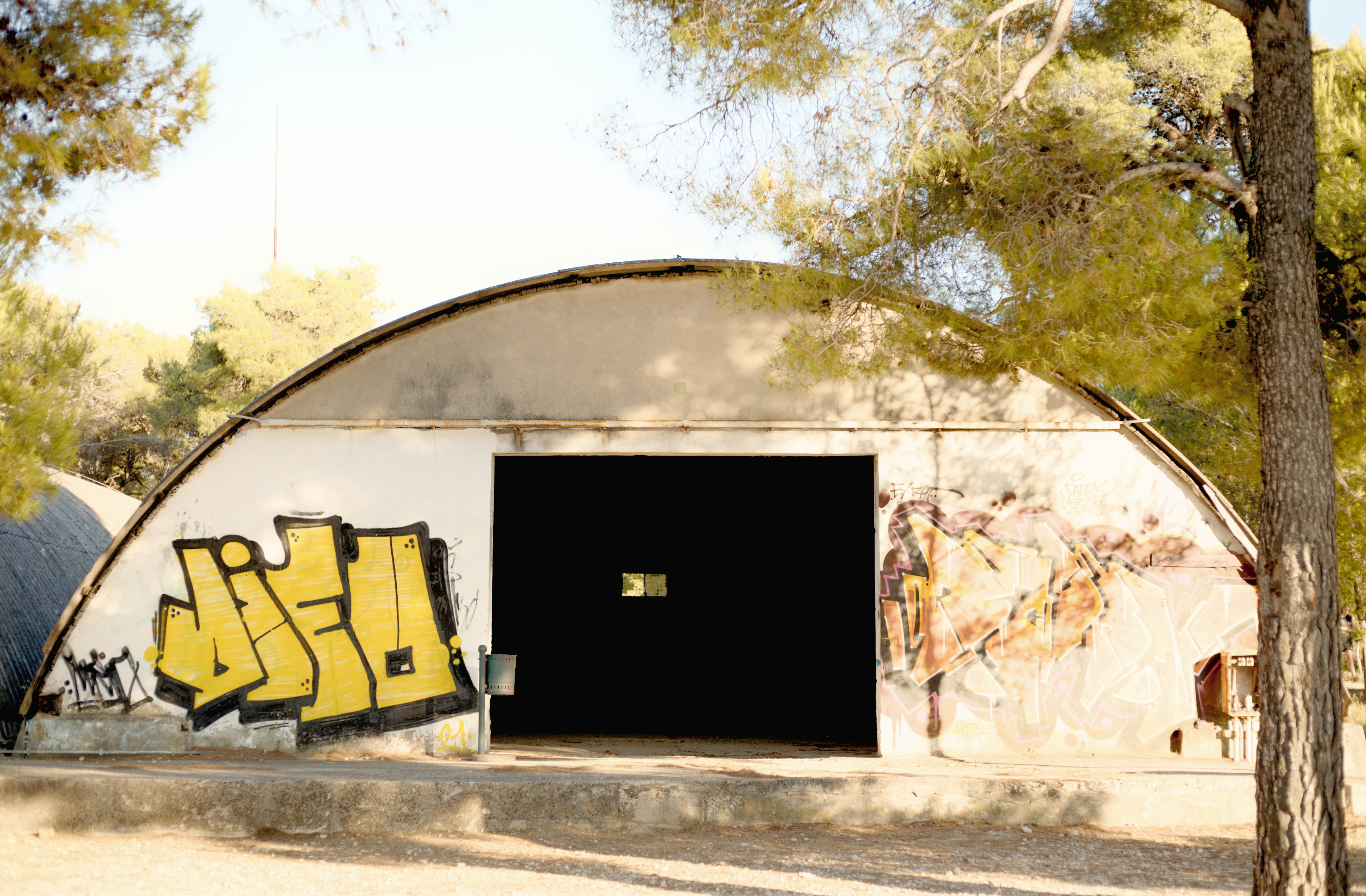 Threshold of Color: Graffiti-Splashed Quonset Under Dappled Sun