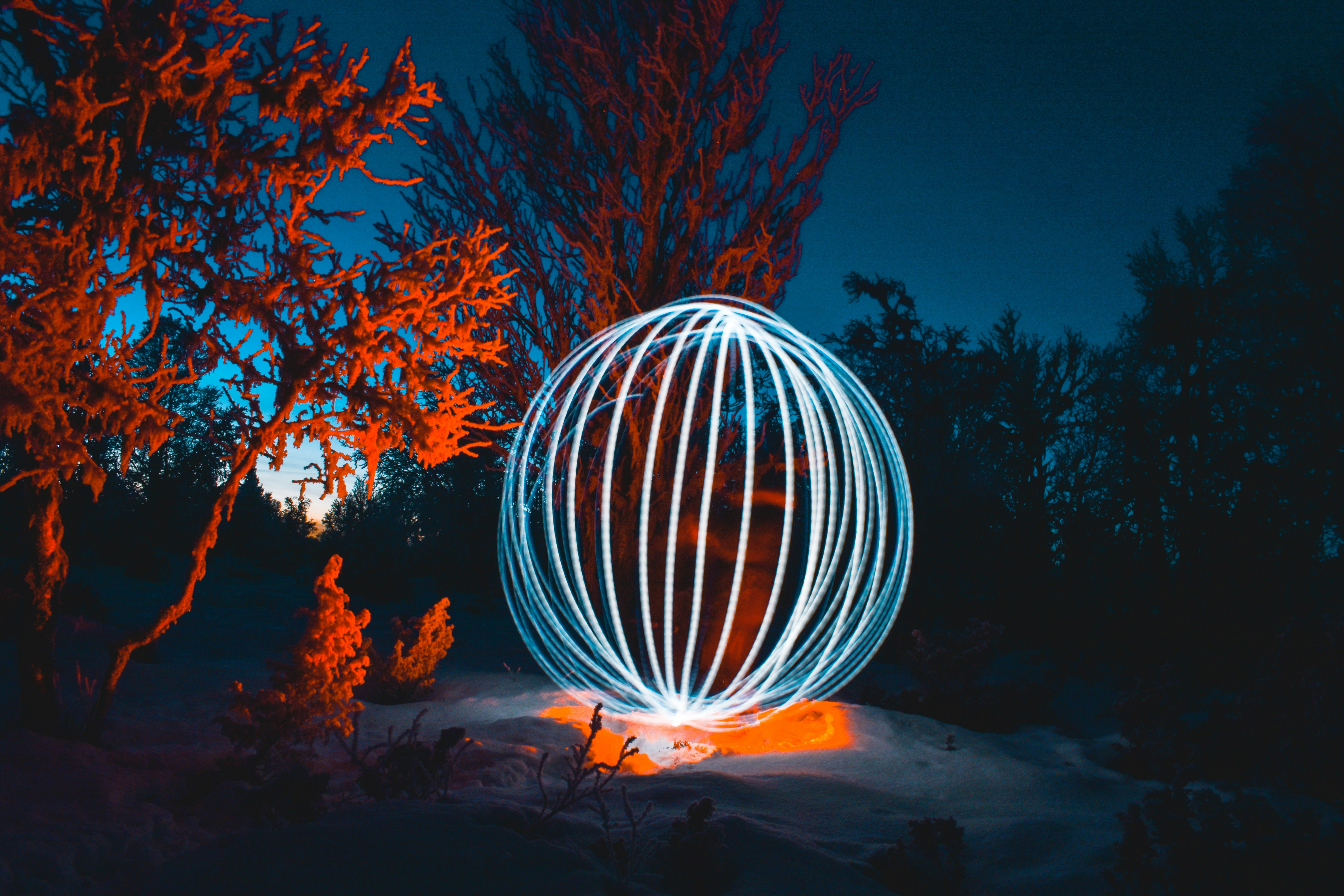 Photo by Jack White with Nikon D3500