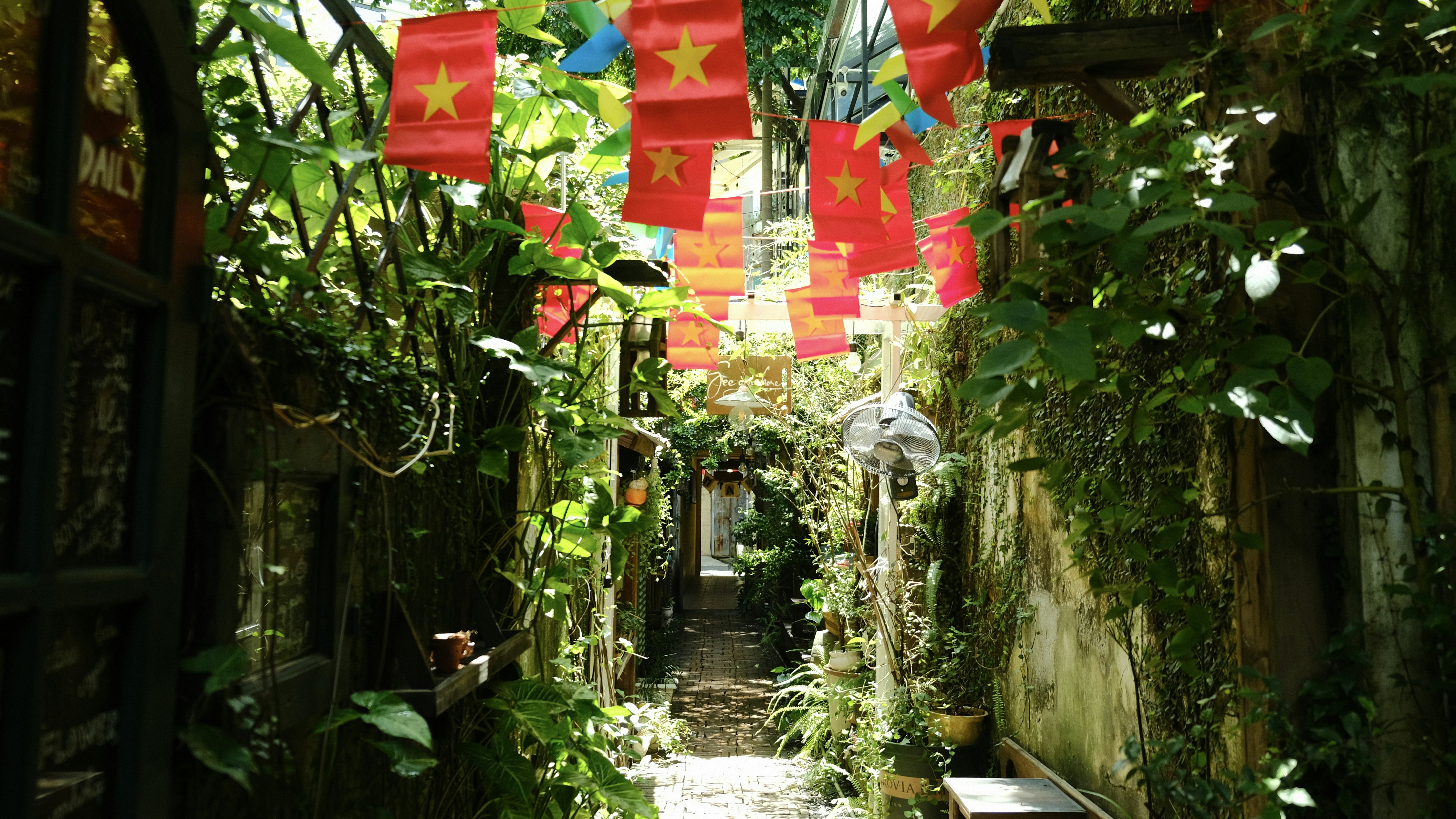Flagged Alleyway: A Green Corridor of Red Stars