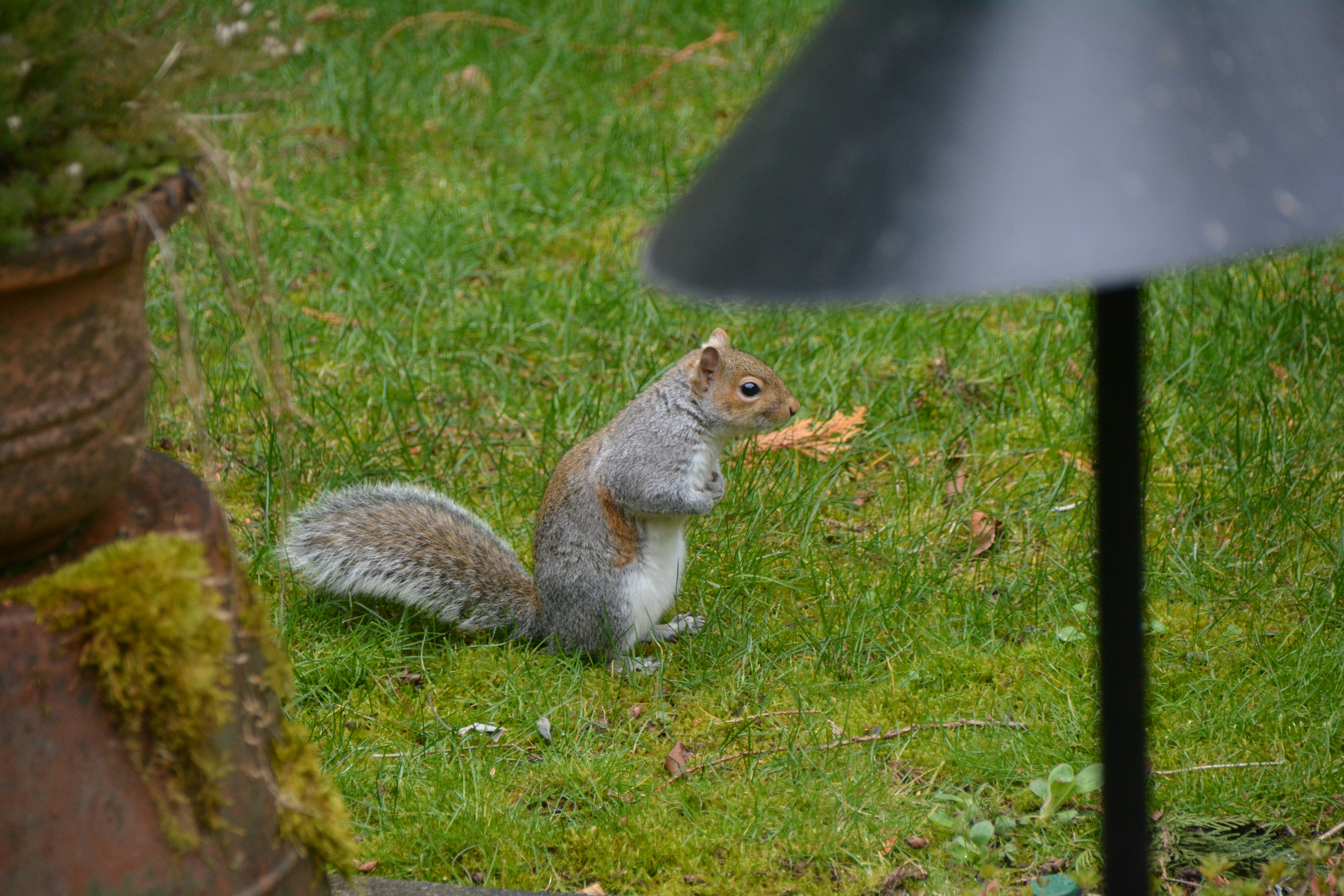 Photo by Somesh Harshavardhan with Nikon D5200