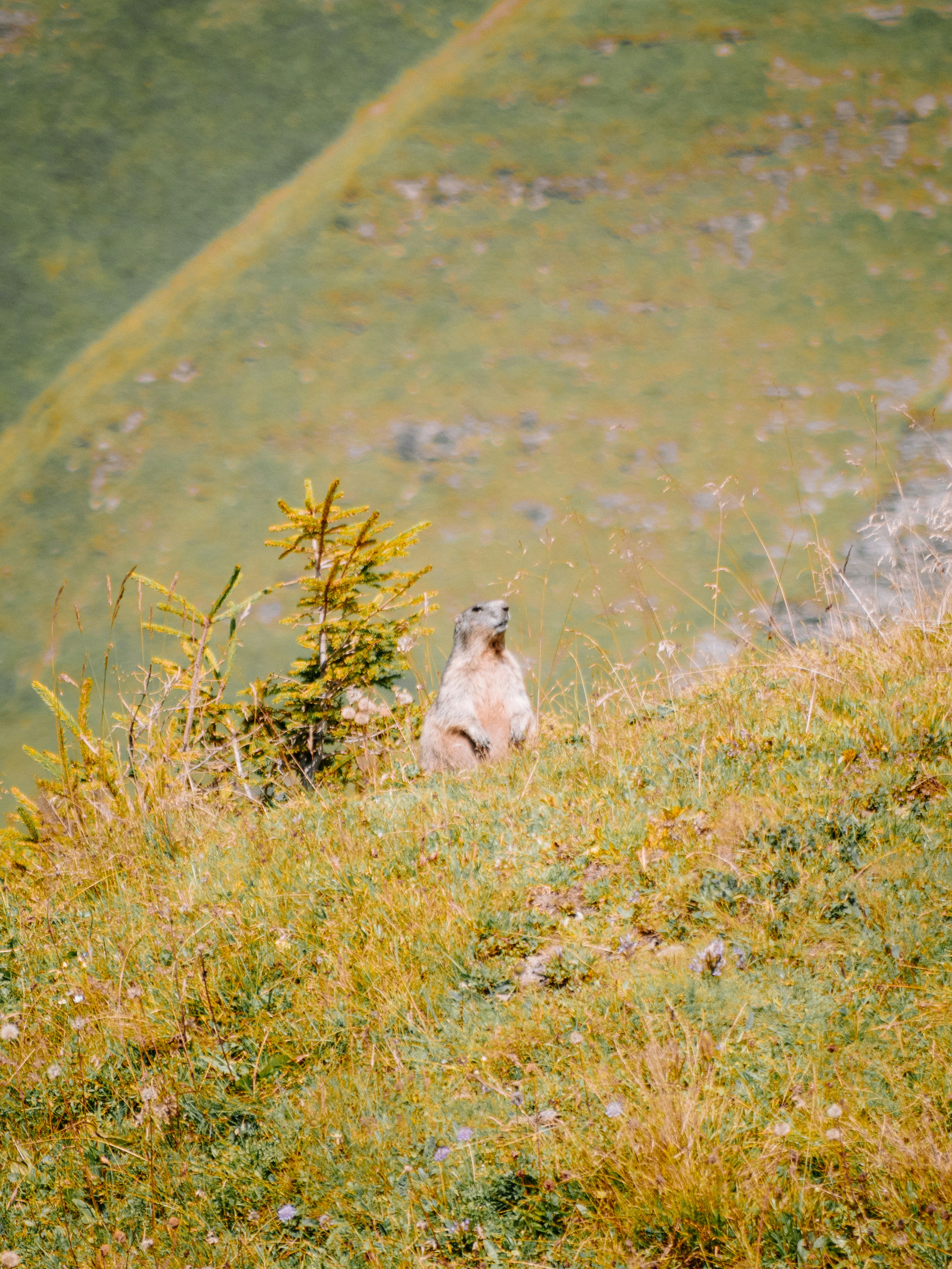 Sample photo from Panasonic Lumix G9