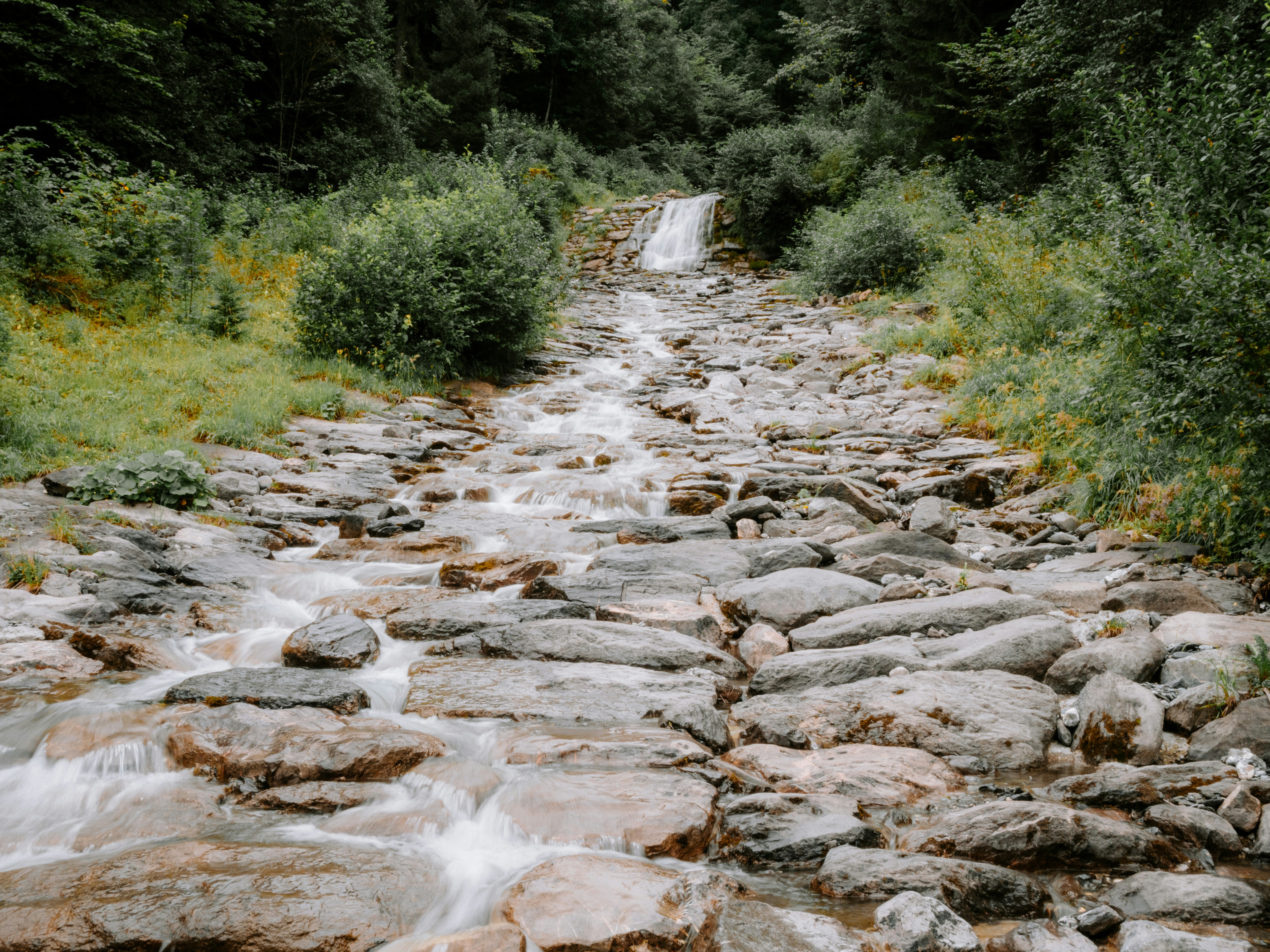 Rocky Cascade: A Quiet River Runs Through a Forest of Stones