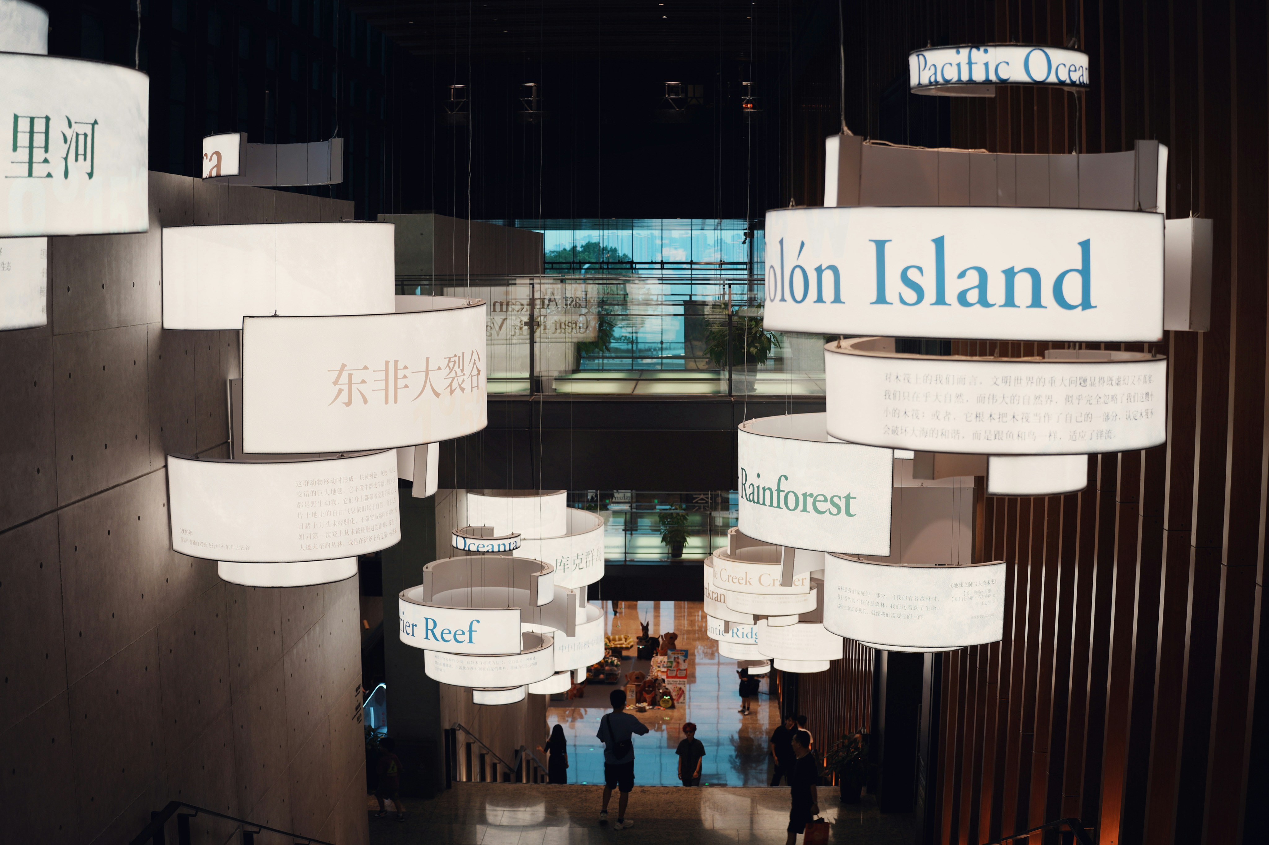 Canopy of Signage Over a Vanishing Corridor