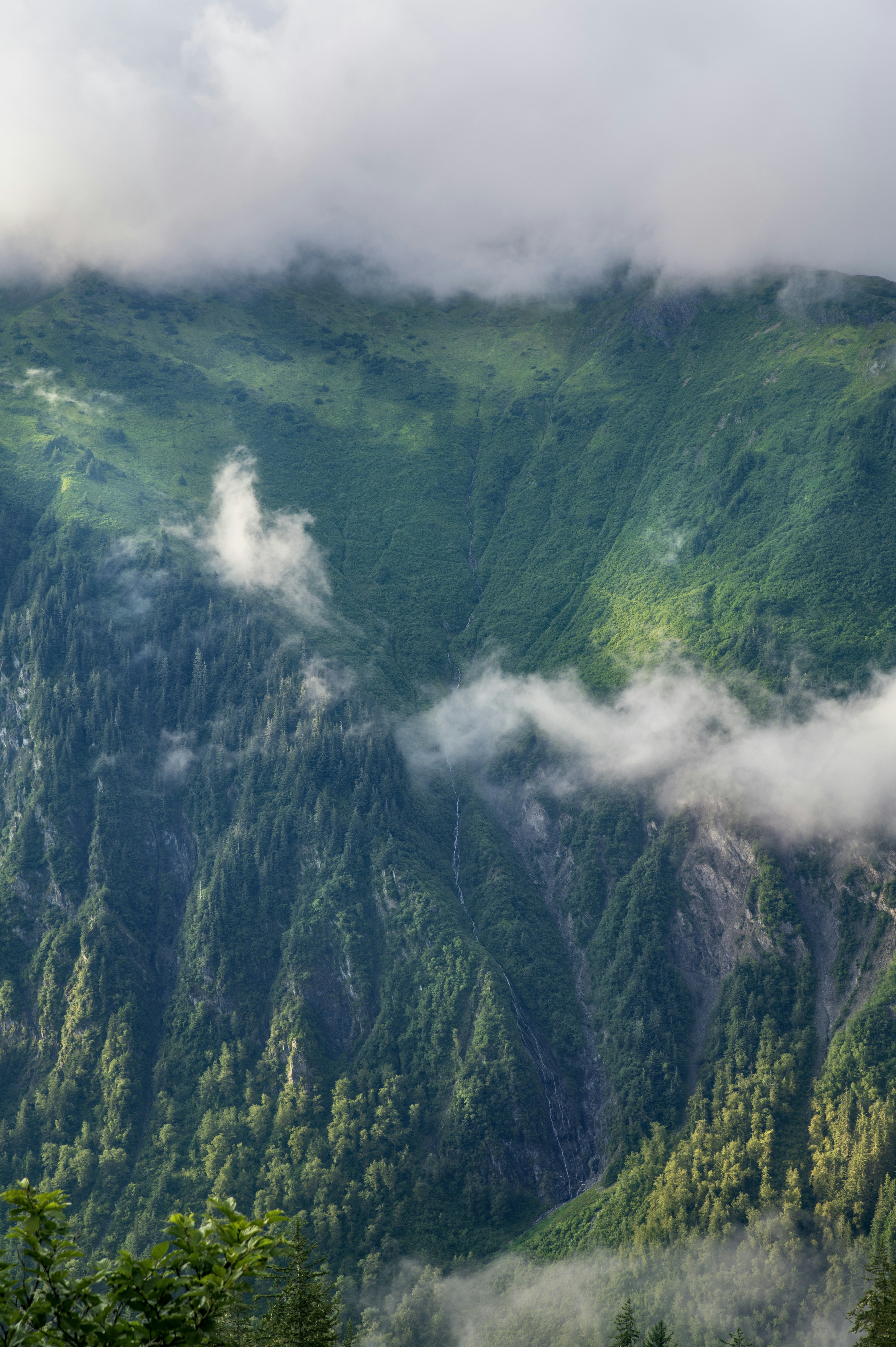 Mist-Washed Gorge: A Hidden Cascade Carving Alpine Green Ridges