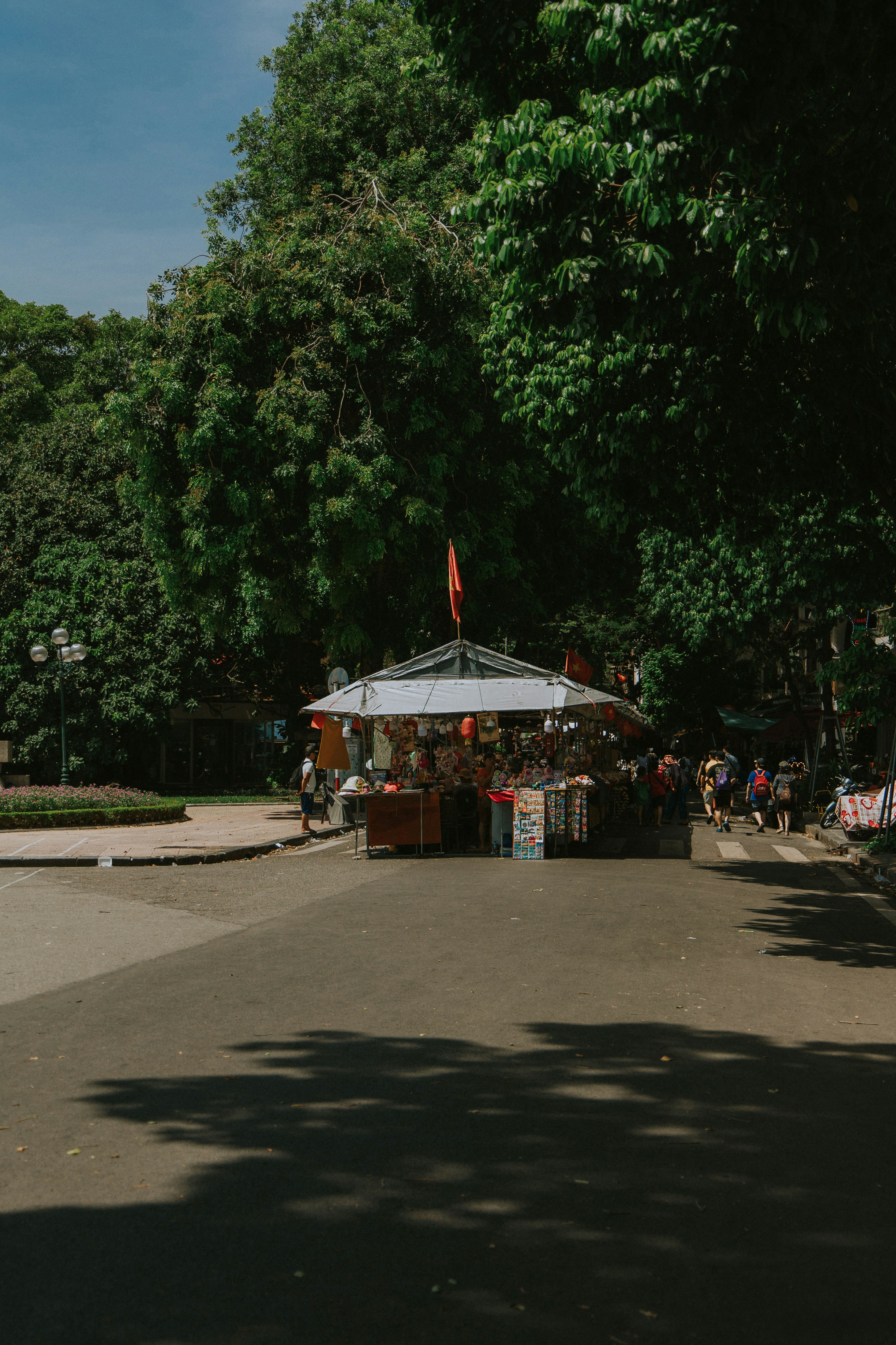 Market Under the Park Canopy: A Sunlit Stall Draws the Crowd