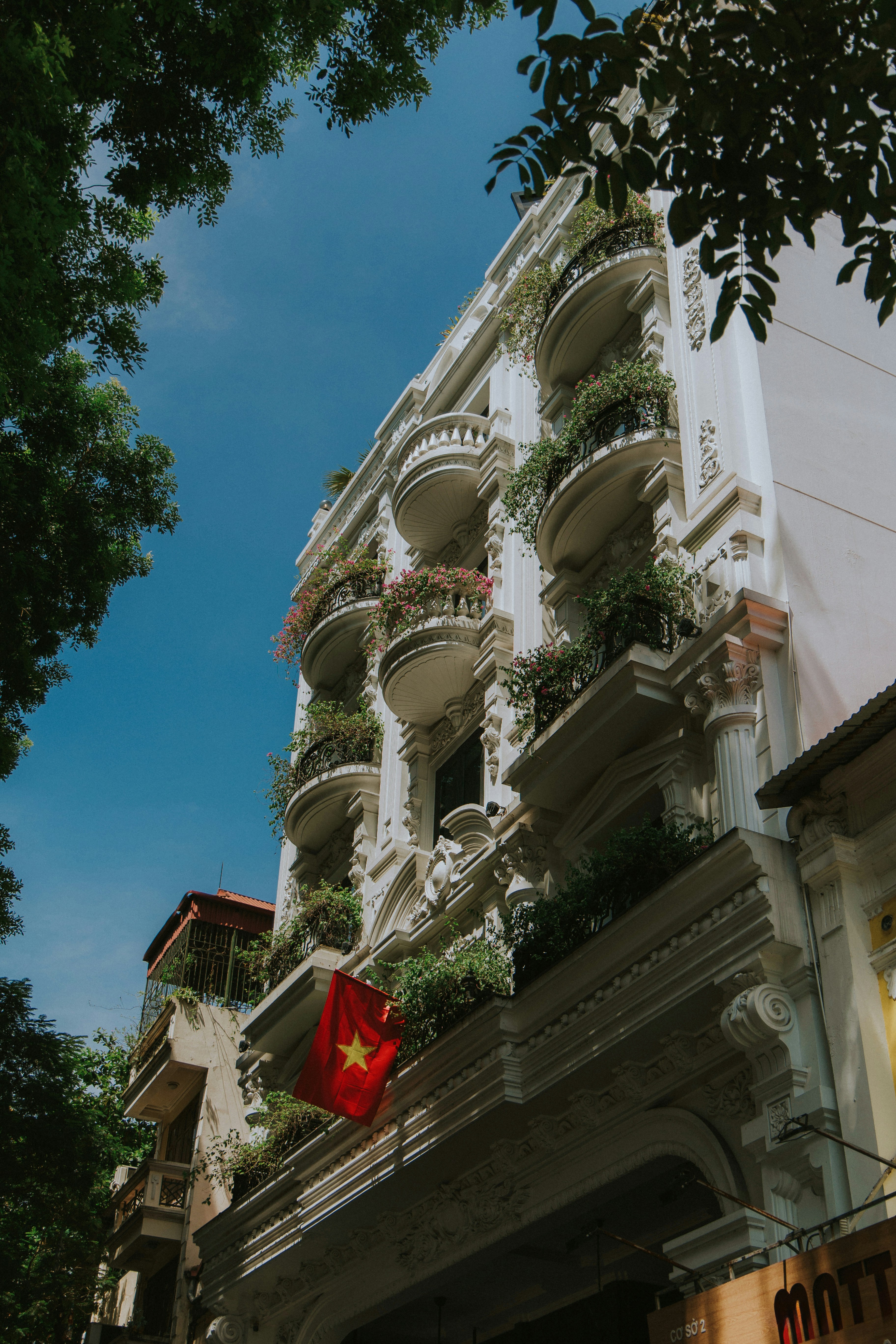 Sunlit Balconies and a Red Flag: Floral Architecture on a Narrow Vietnamese Street