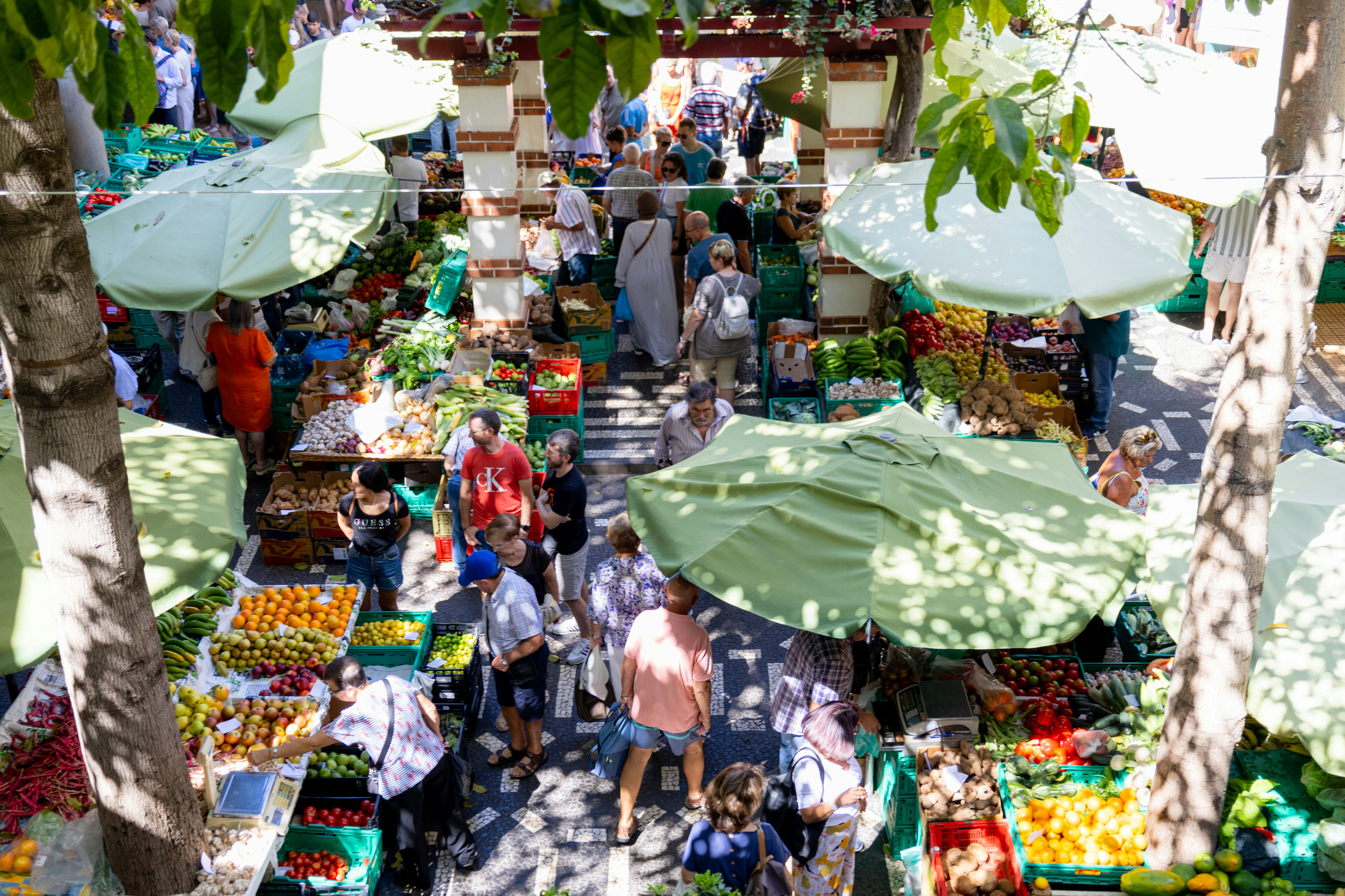 Overhead Market Pulse: Sunlit Aisles Beneath Green Canopies
