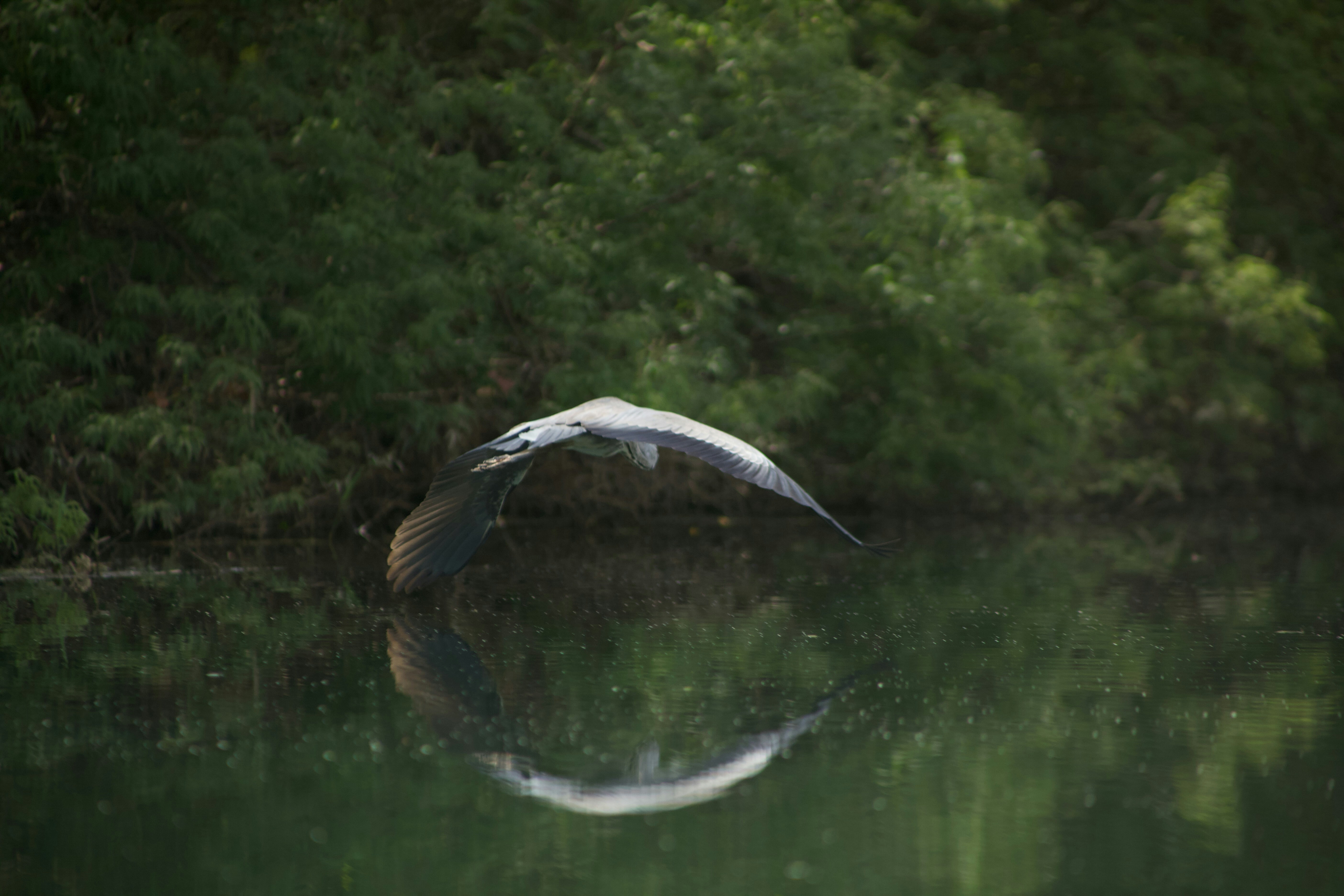 Photo by Andris Gangis with Canon EOS 5D Mark II