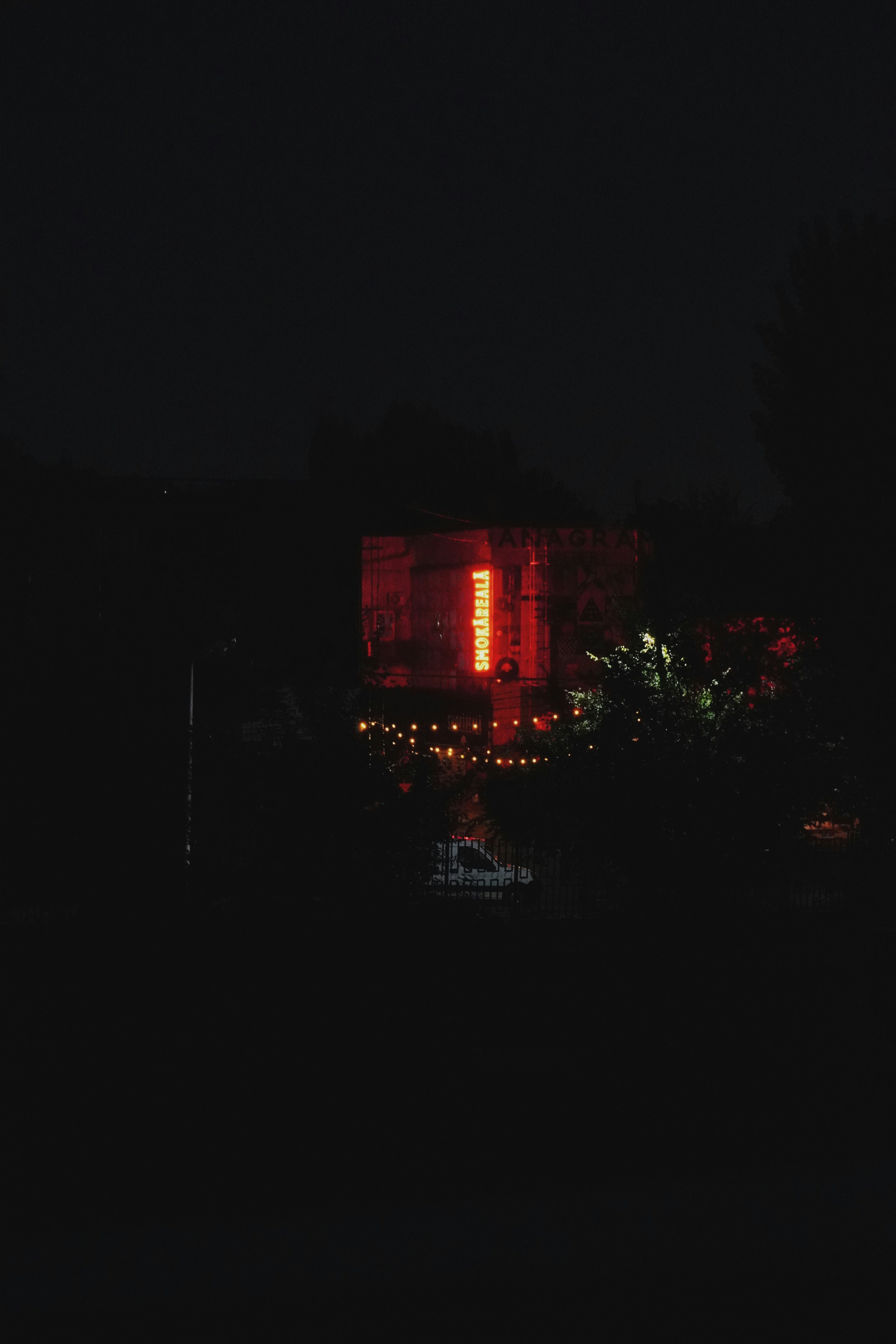 Crimson Neon on a Midnight Theater