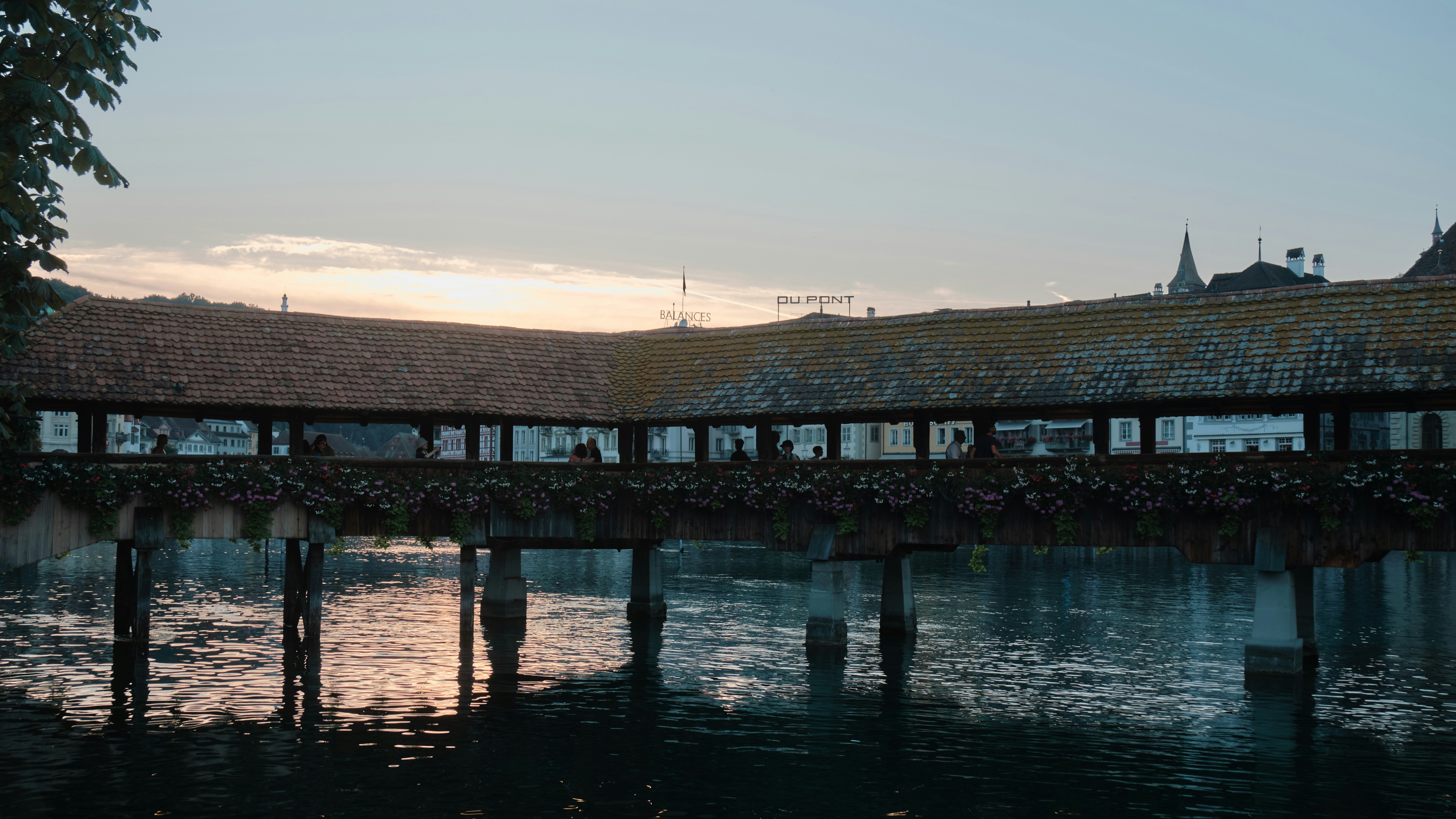 Photo by snap shoot with Fujifilm X-Pro2