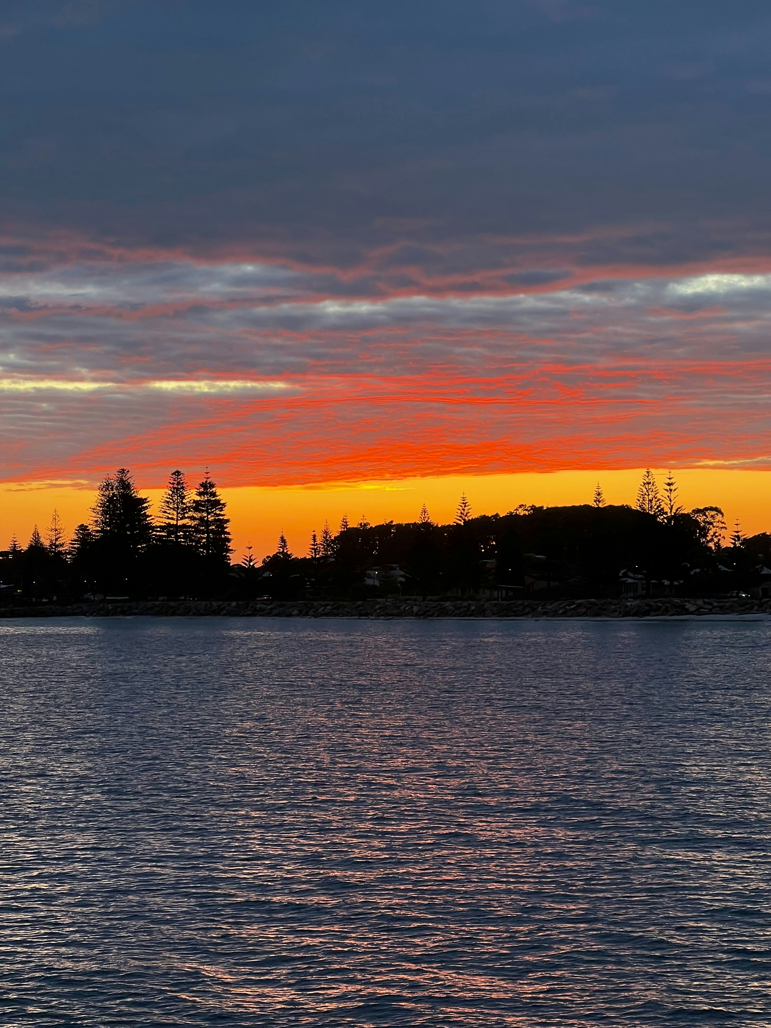 Pine Silhouettes at a Fiery Dusk Over a Quiet Bay