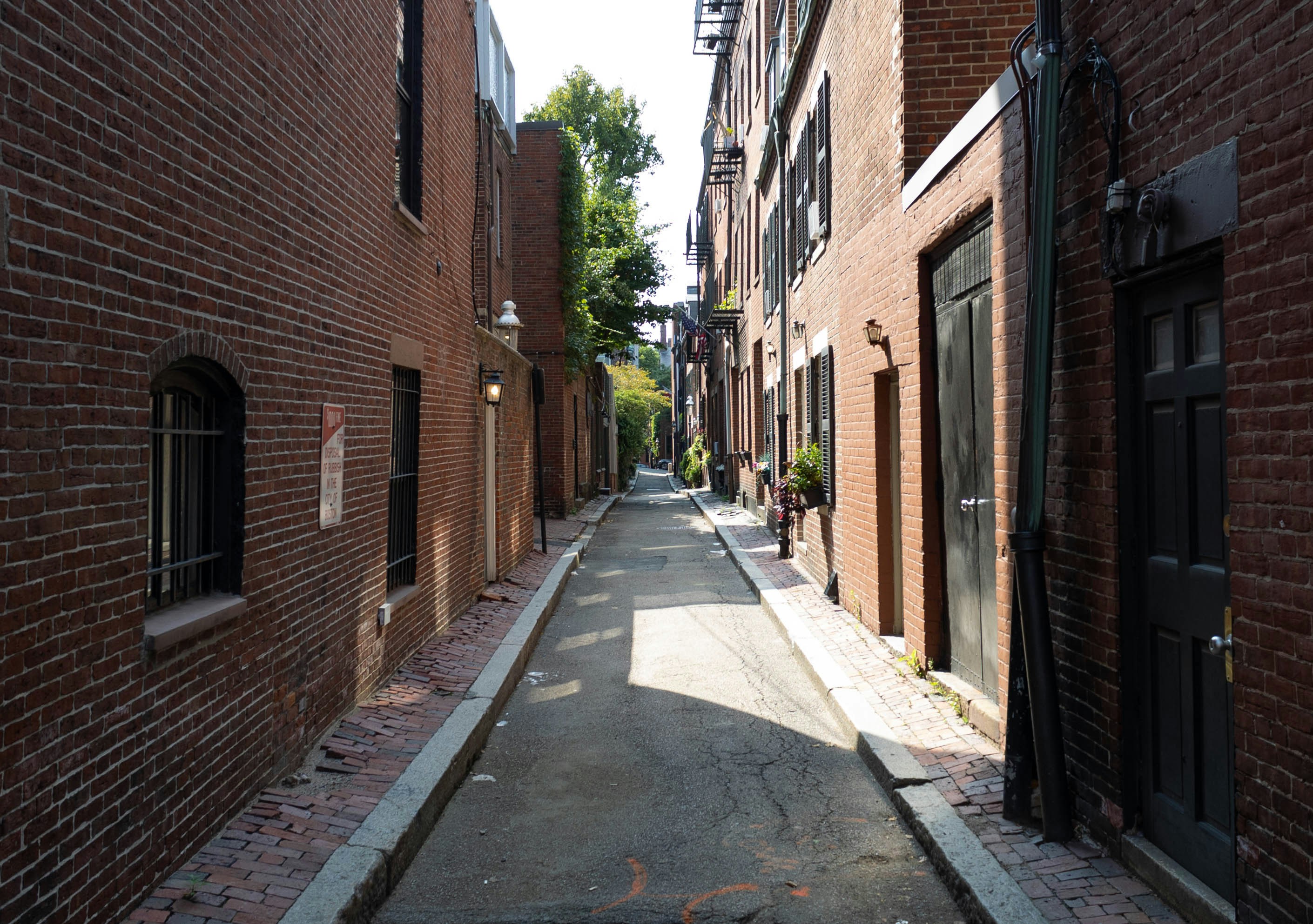 Narrow alleyway flanked by aged brick buildings, leading to a lush tree in the distance.