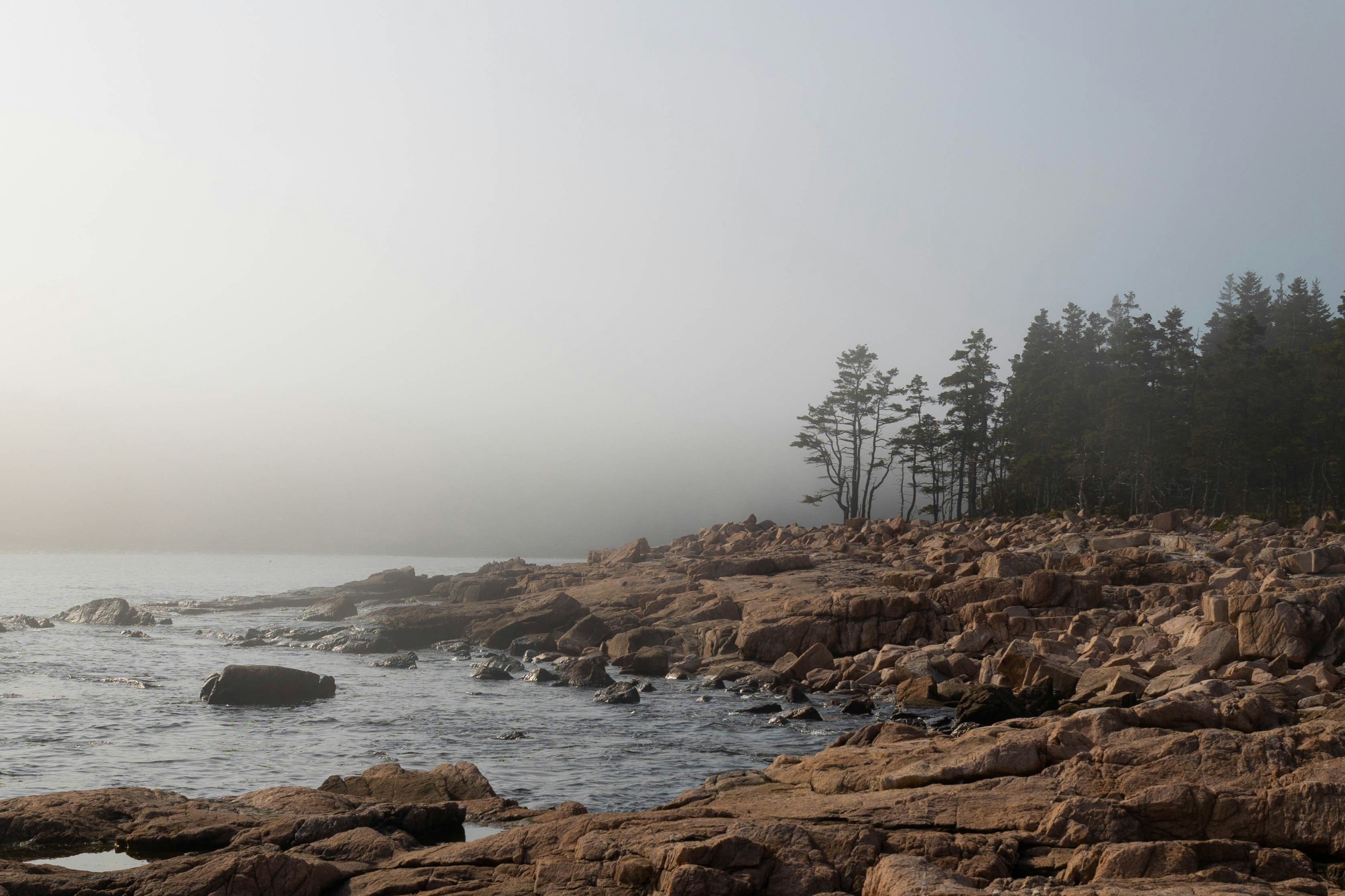 Photo by Leslie Cross with Canon EOS R6