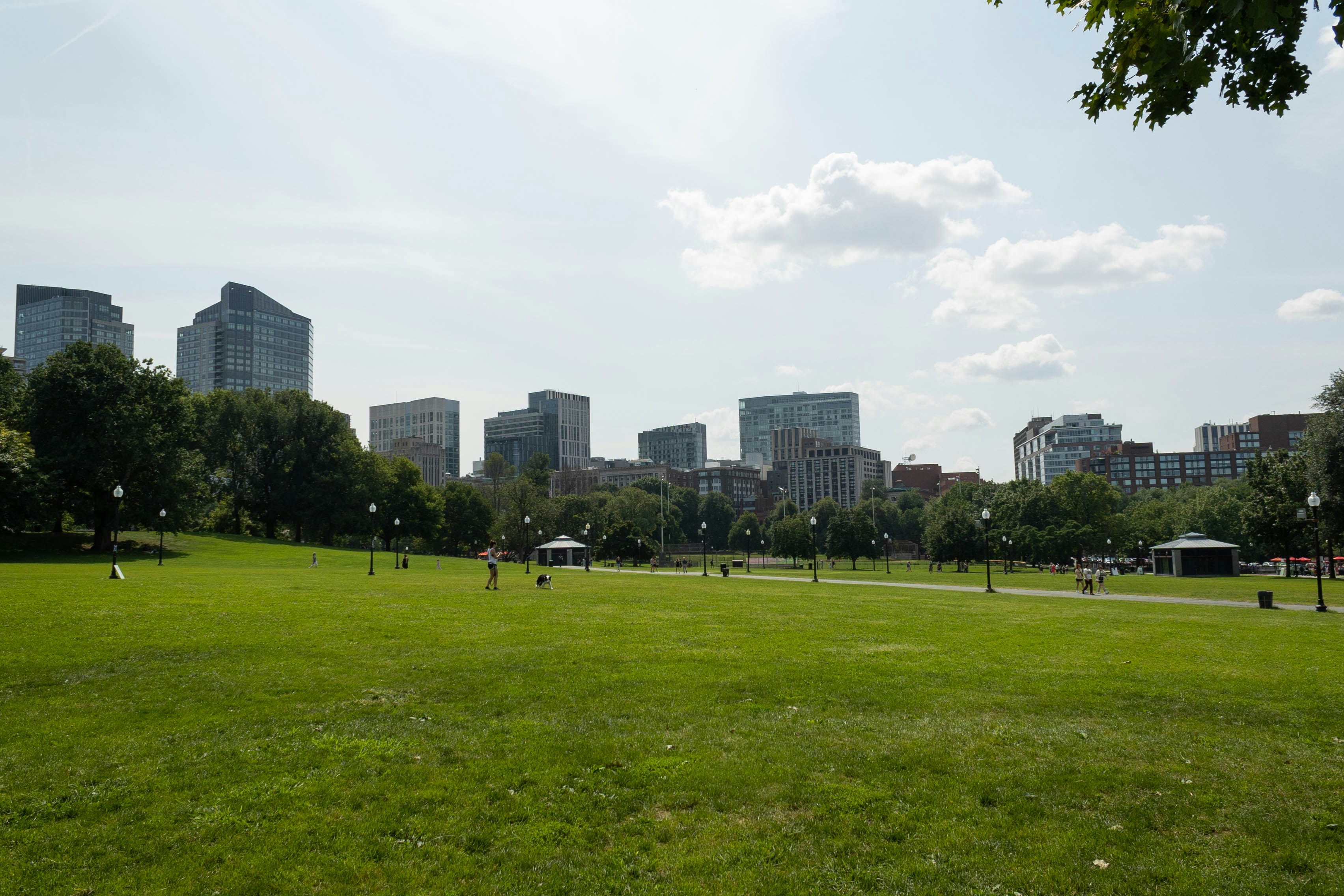 Photo by Leslie Cross with Canon EOS R6