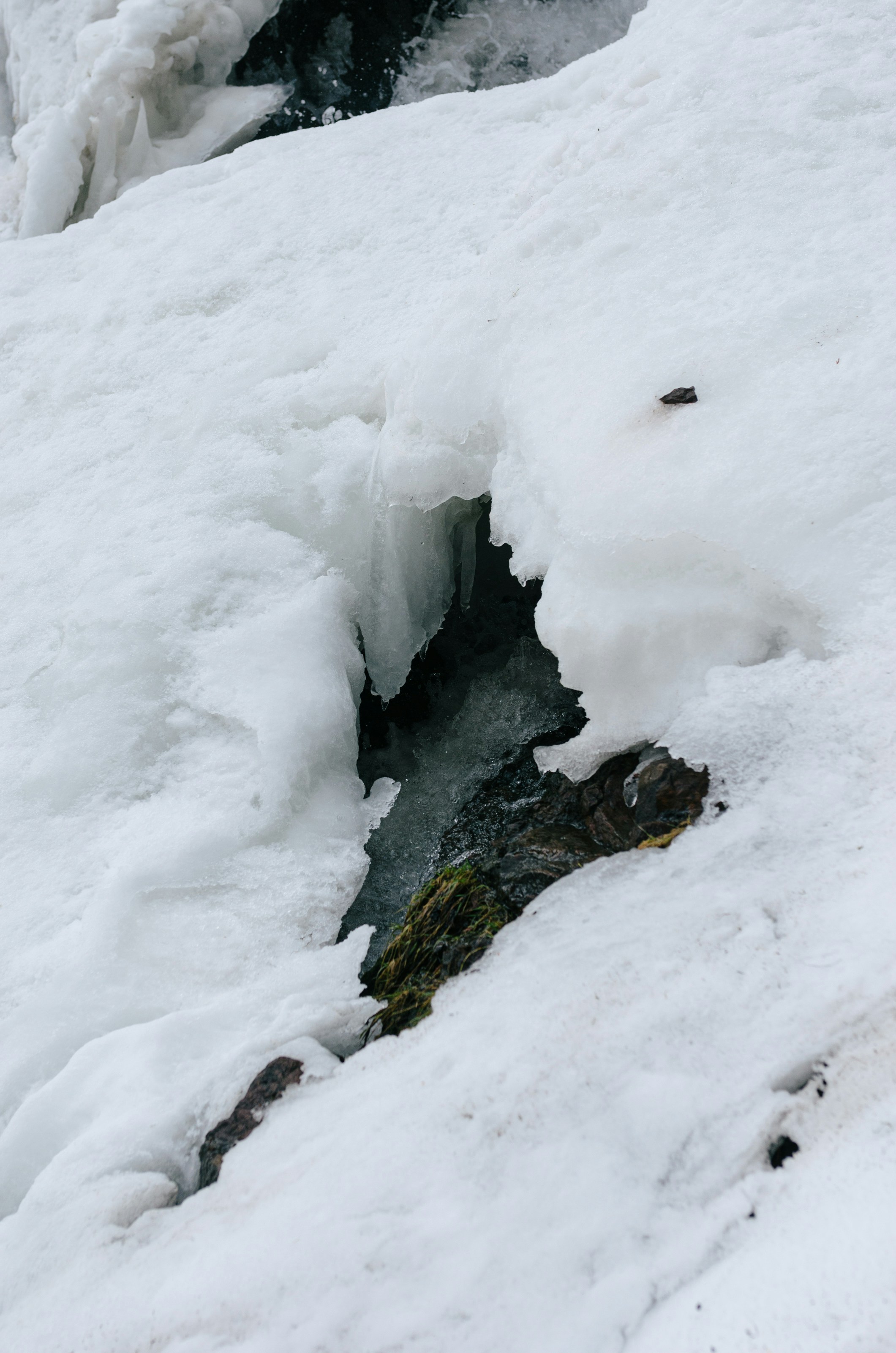 Beneath the White Veil: A Dark Creek Emerges from Ice