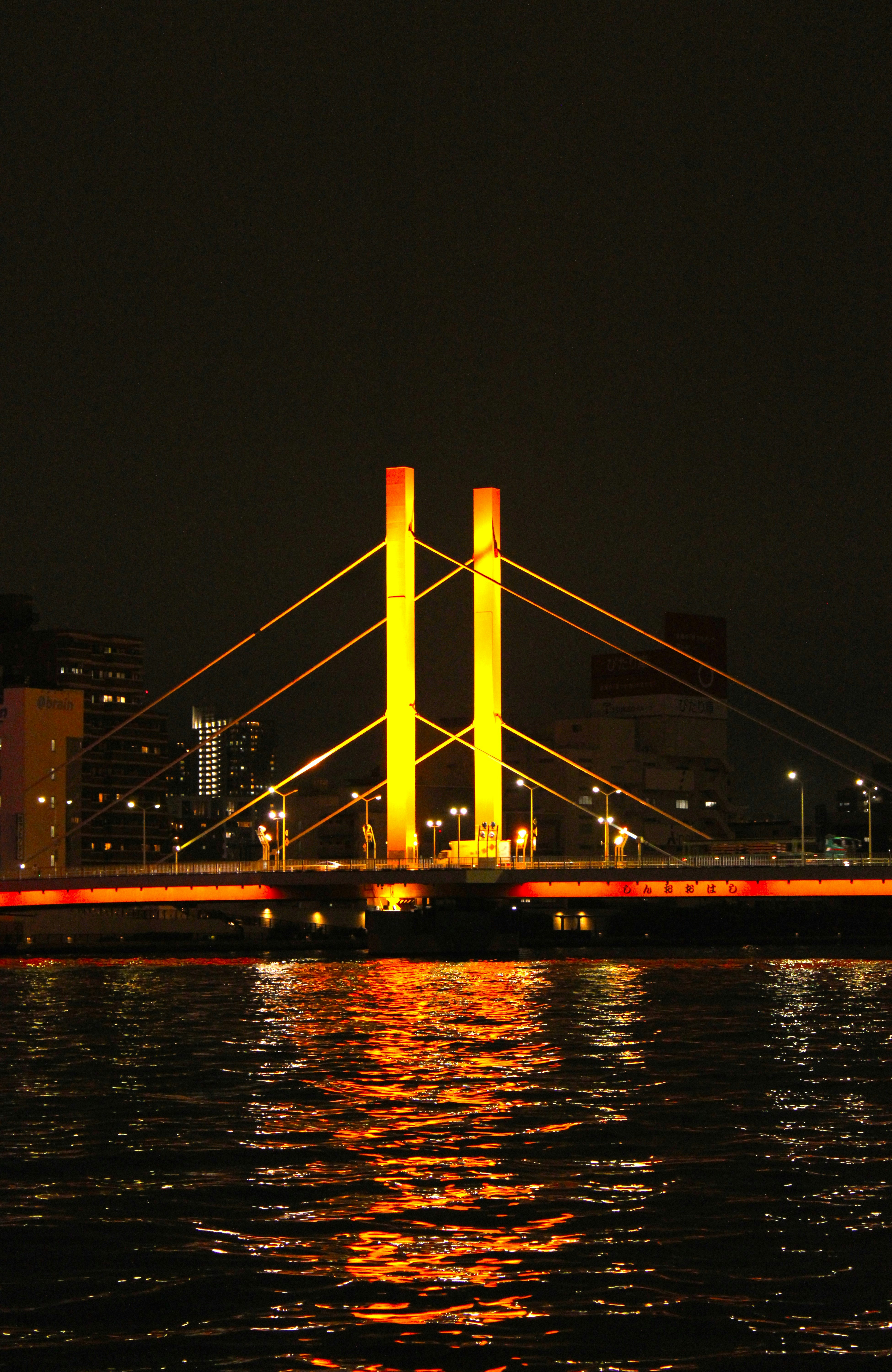 Twin Golden Pylons: Night Glide over the River
