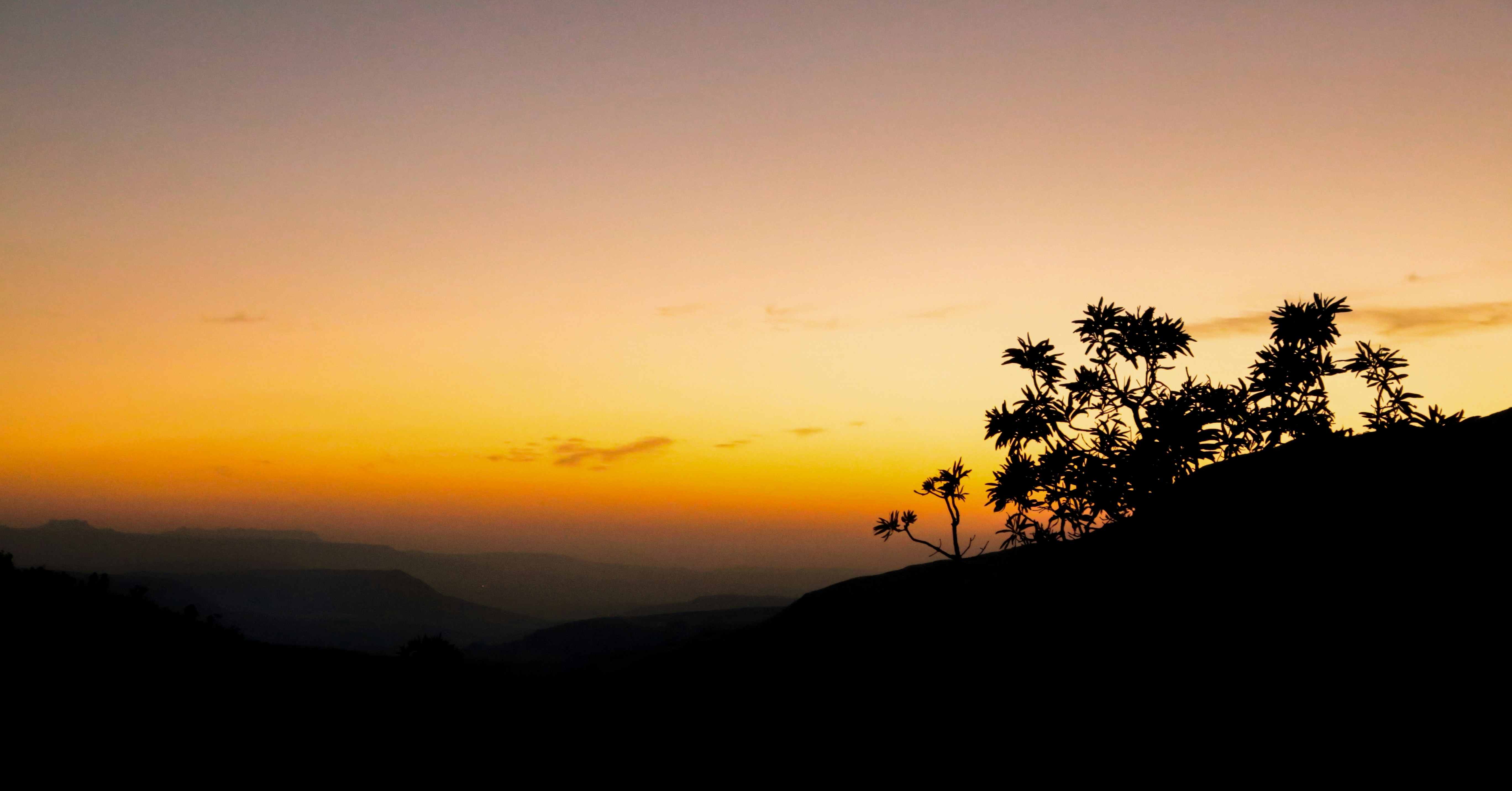 The image captures a peaceful sunset with an orange sky fading into darker tones. Silhouettes of trees and a roof structure with chimneys are visible in the foreground. The natural scene highlights the soft, fading light of dusk, creating a serene and tranquil atmosphere as the day transitions into night. The horizon is subtly visible, with a few scattered clouds blending into the warm colors of the sunset. The landscape and sky offer a minimalistic yet captivating view of nature at dusk.
