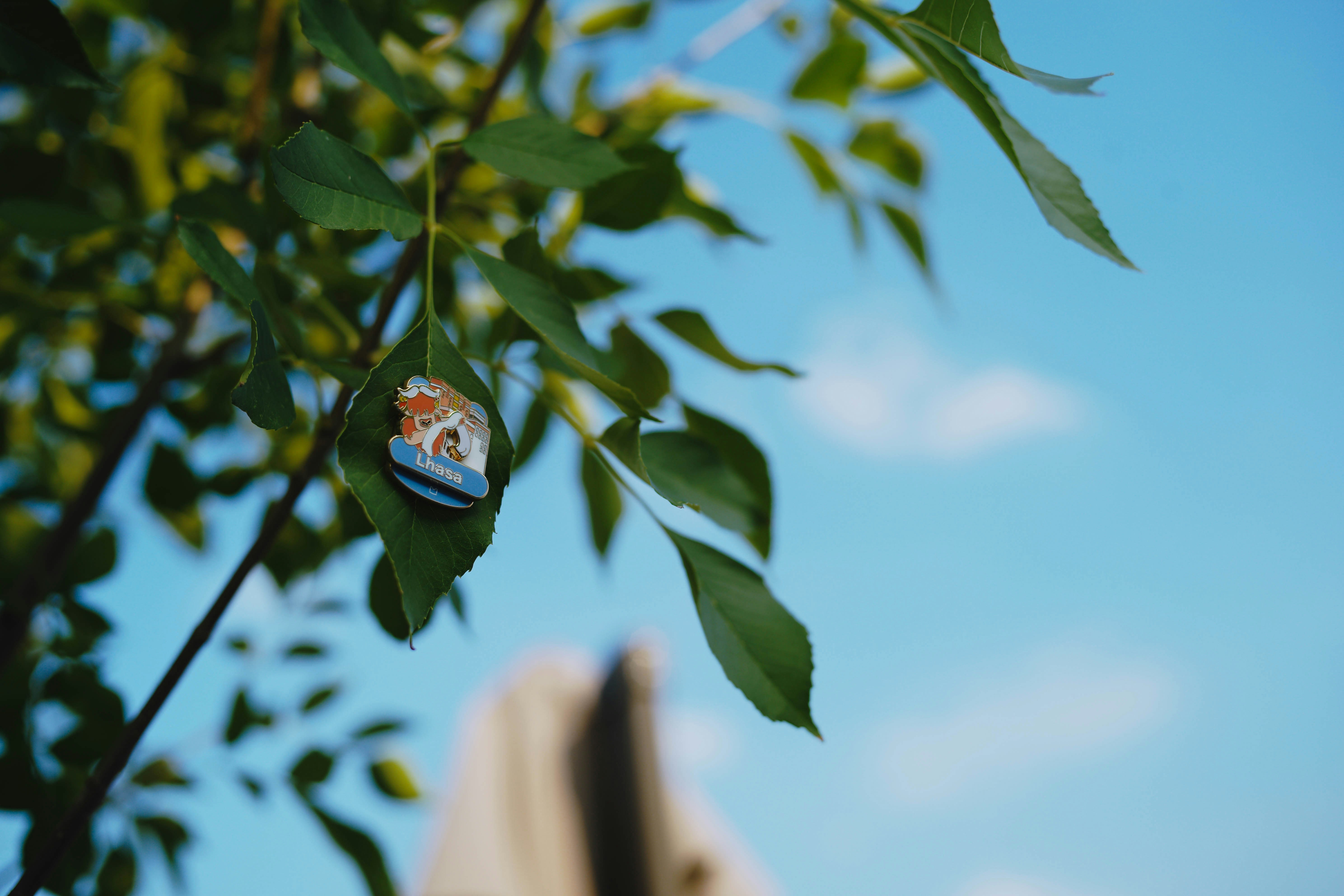 A cell phone hanging from a tree branch