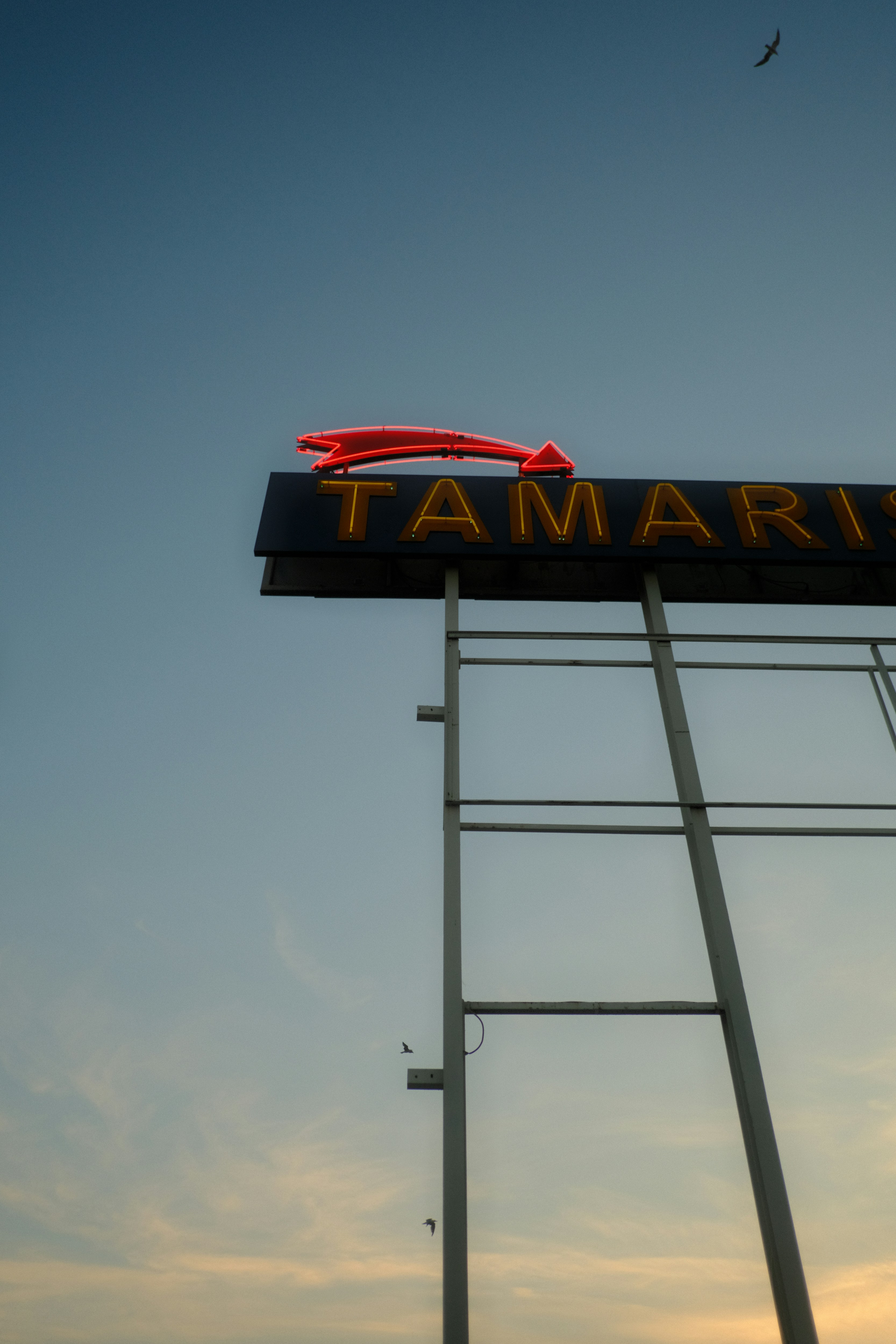 Neon Coral on a Signpost: Tamaris Skyline at Dusk