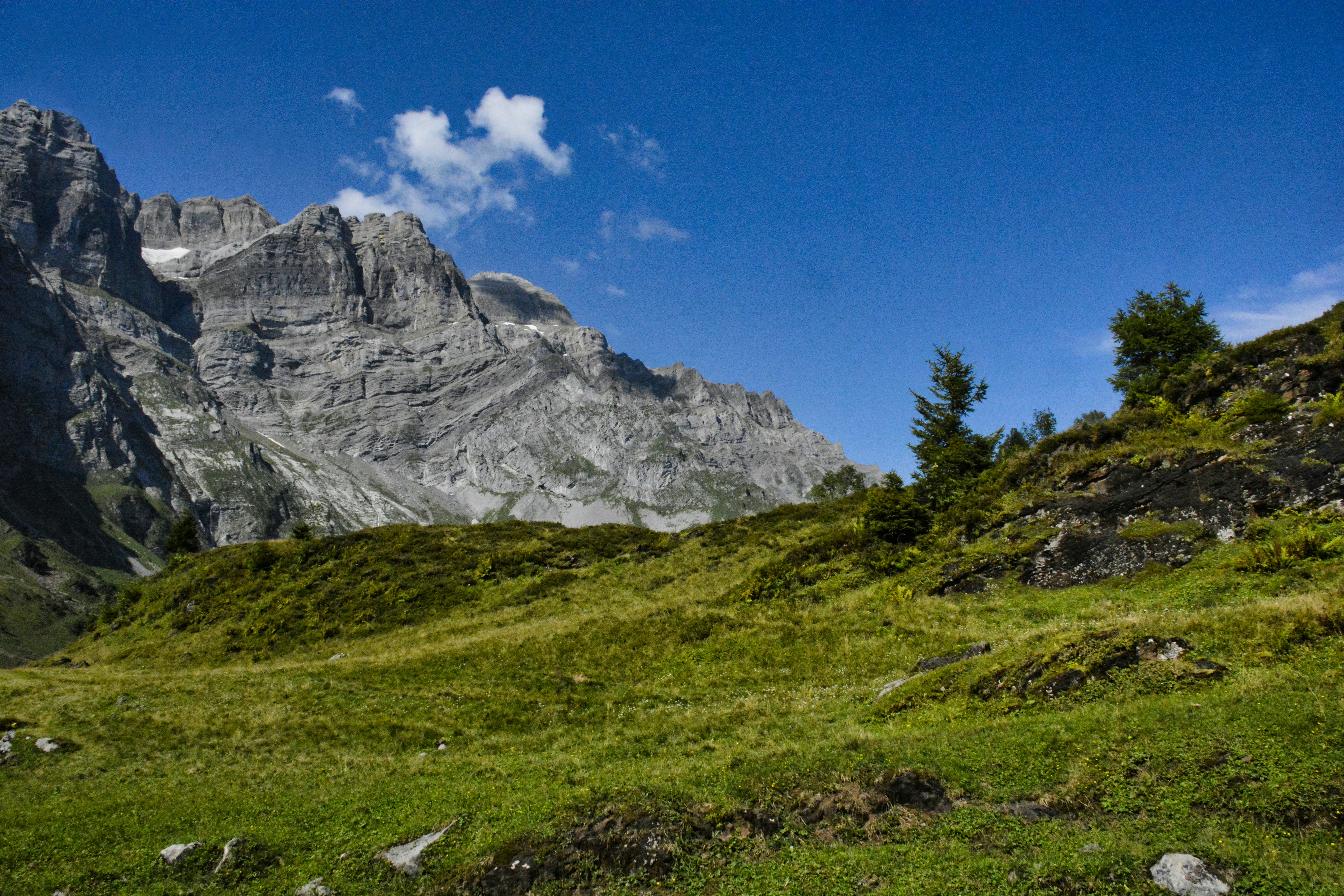 Photo by Nadine Eggenberger with Nikon D7100