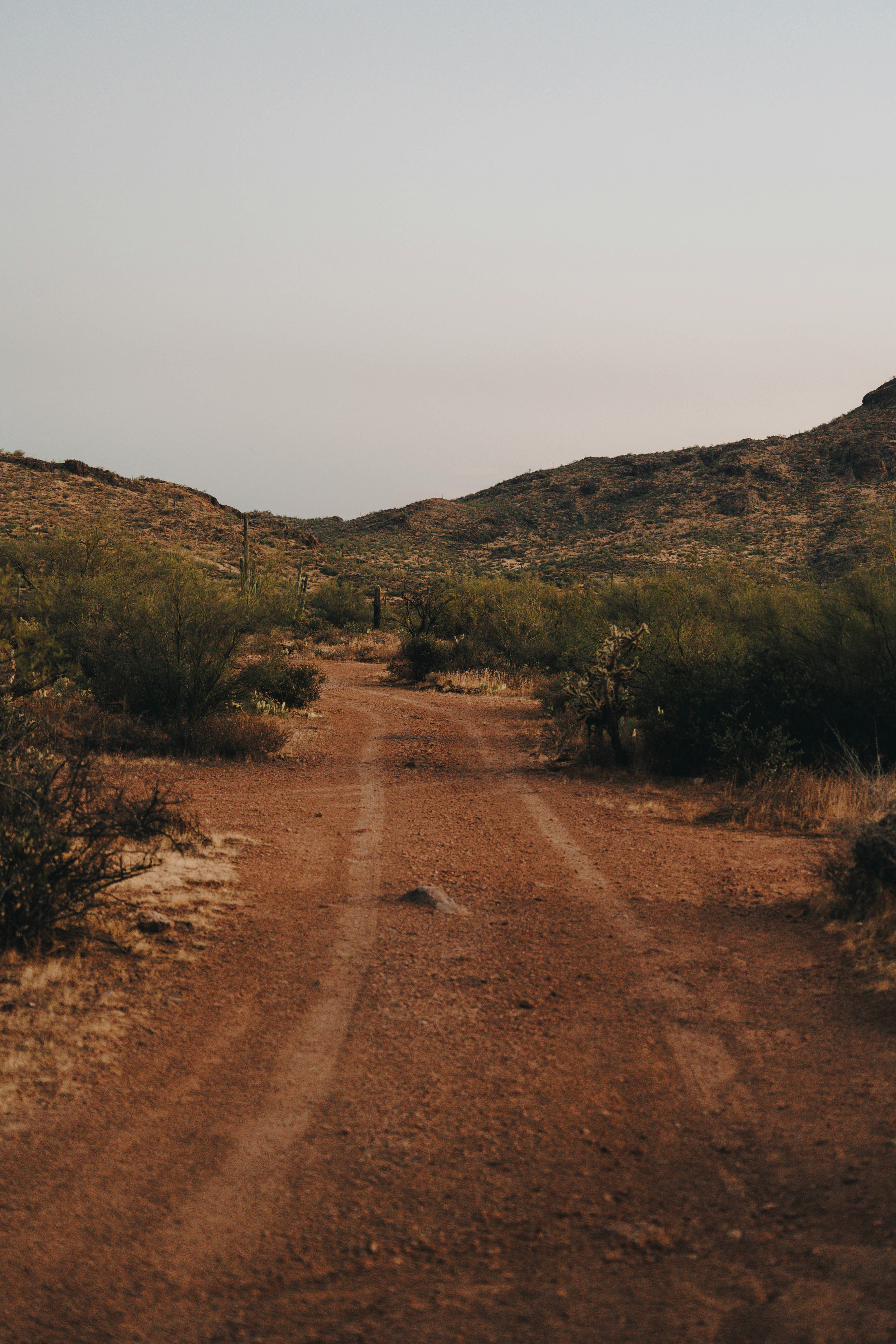 Un chemin de terre au milieu d’un désert photo – Image gratuite de ...