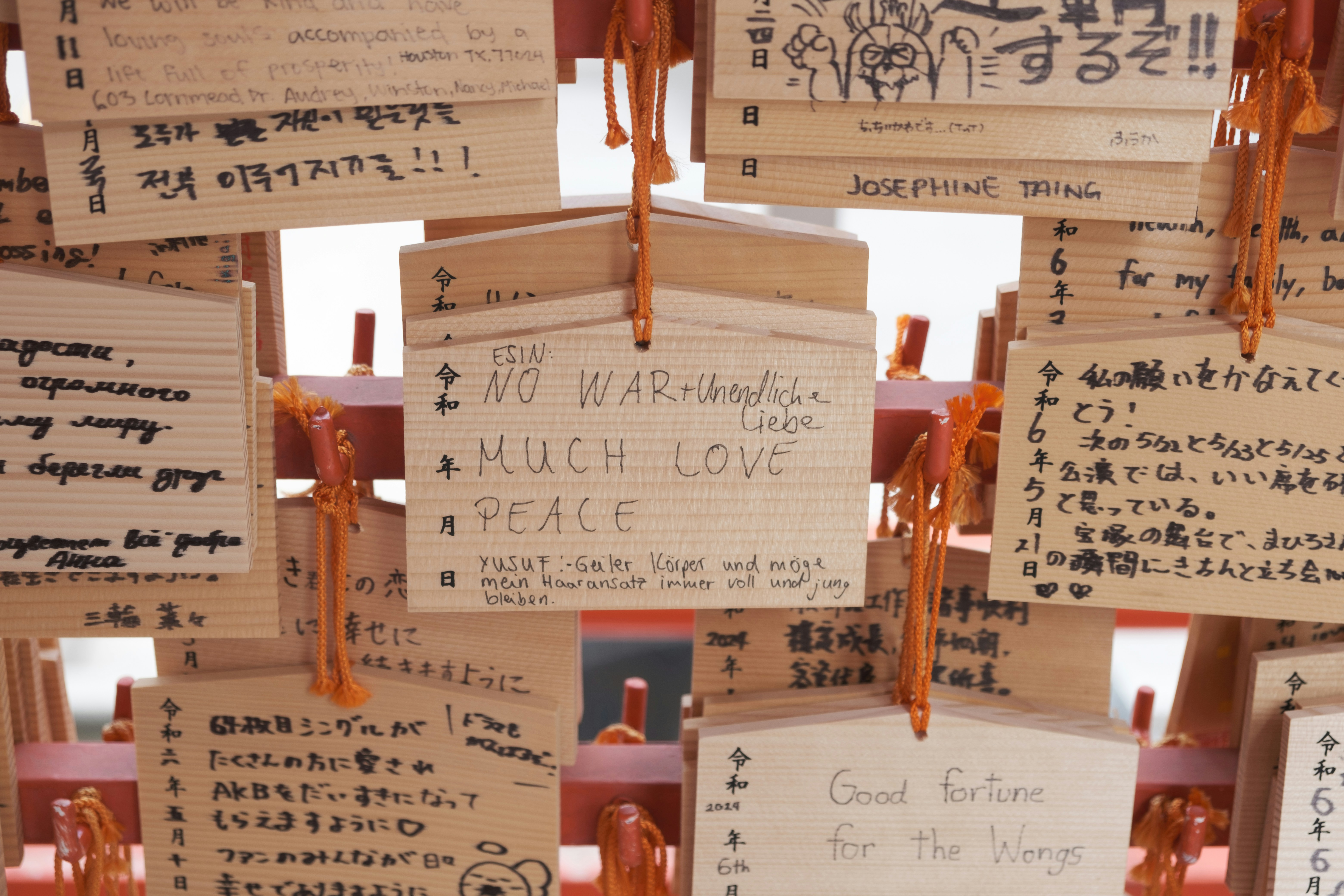 A bunch of signs are hanging on a wall photo – Free Handwriting Image ...