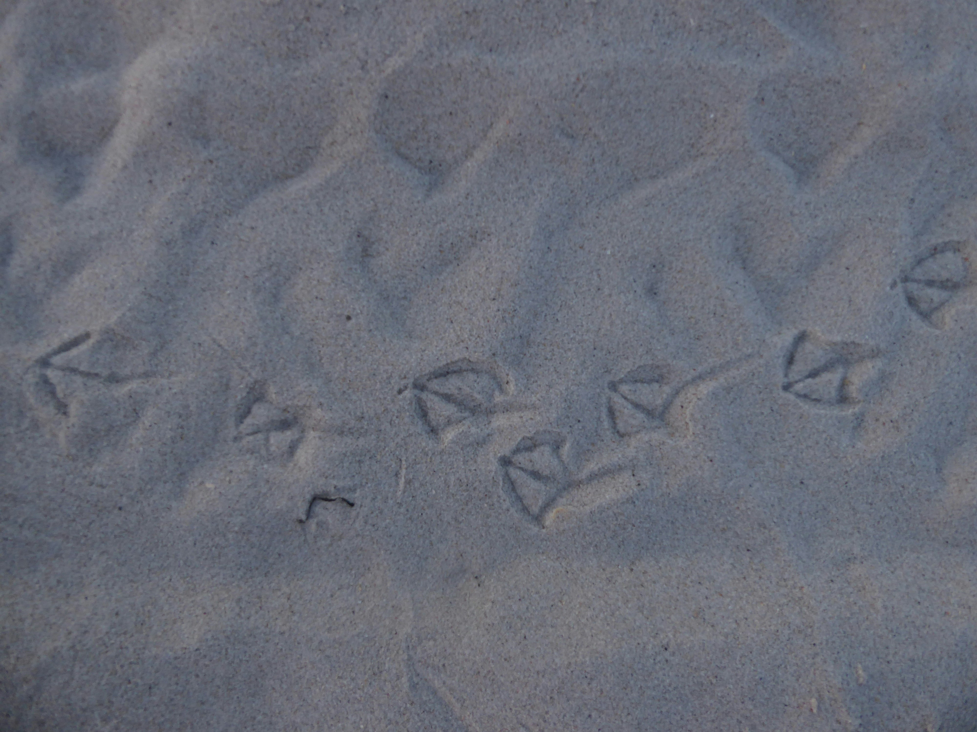 Sample photo from Panasonic Lumix ZS50