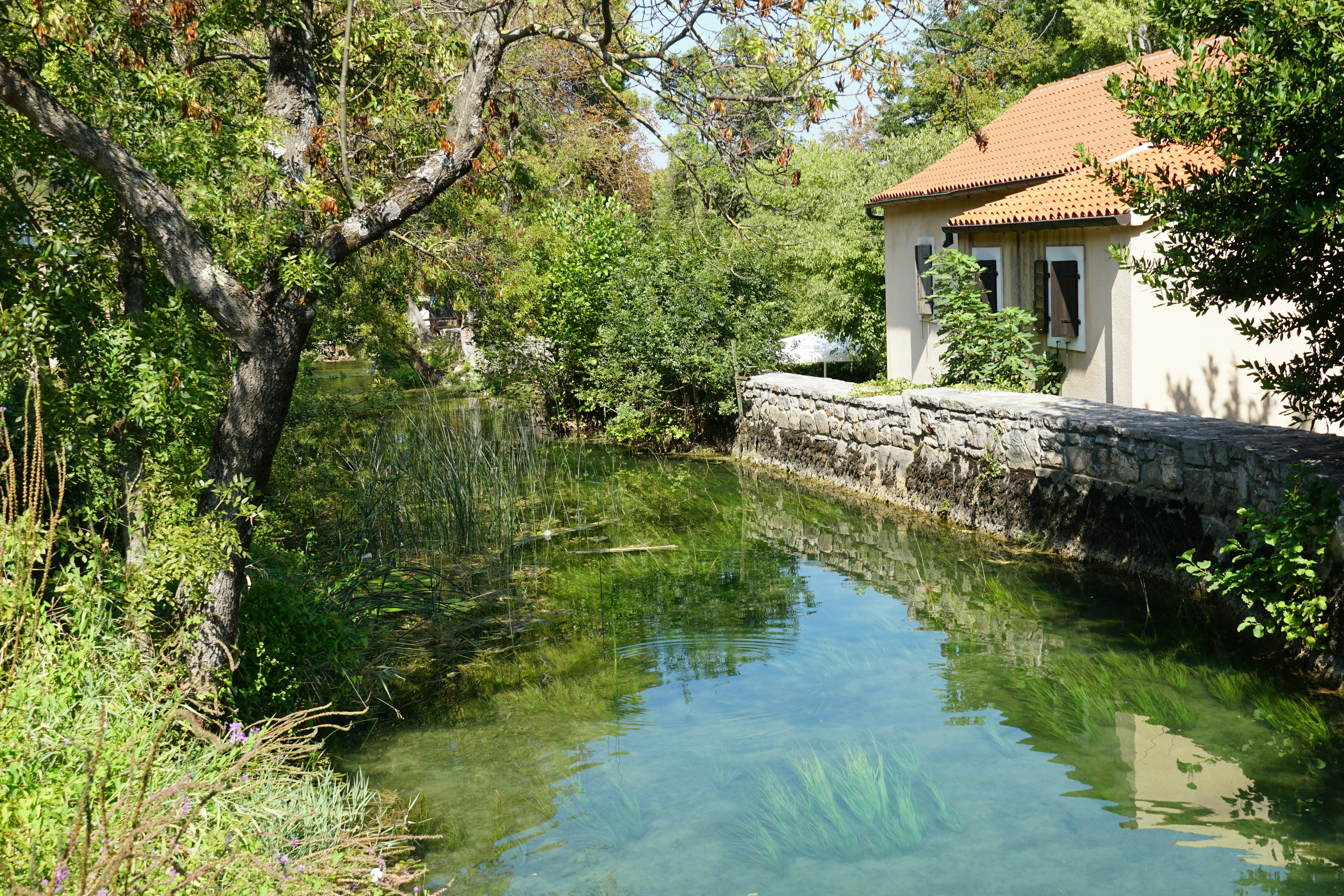 Clear stream reflecting trees and a cottage under a bright sky.