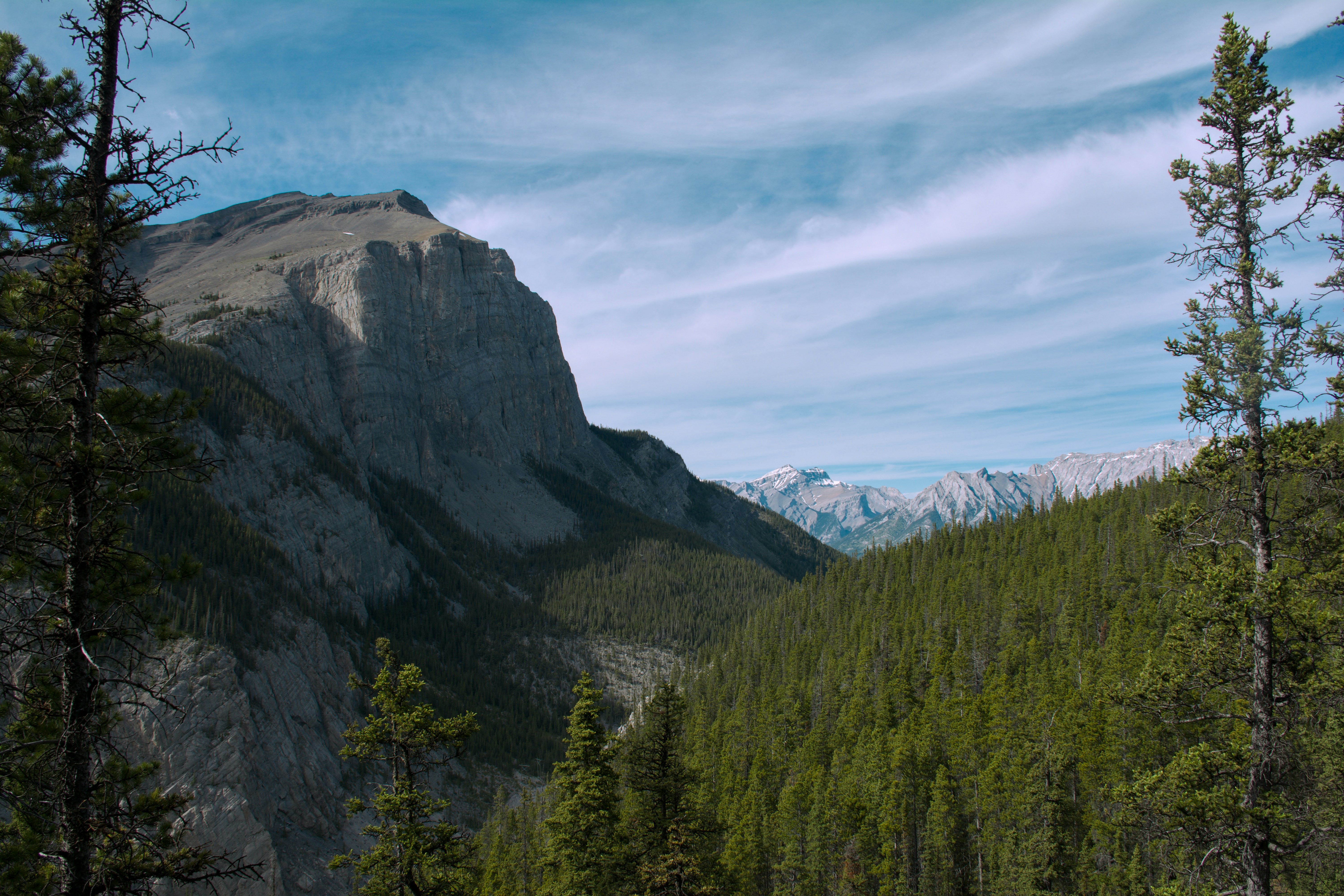A scenic view of a mountain with trees in the foreground photo – Free ...
