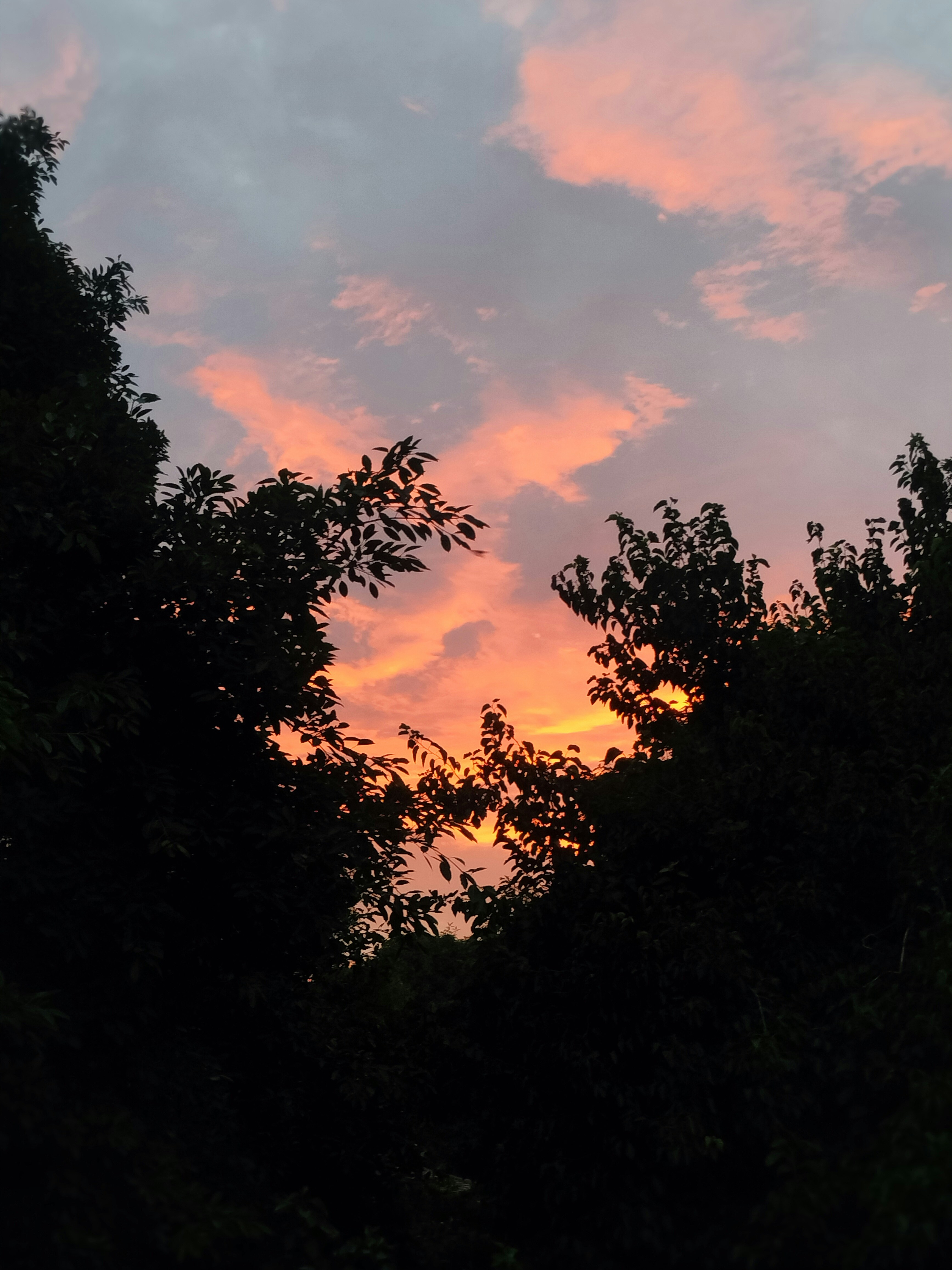 Neha (@ne_ha_00) | Unsplash Photo Community