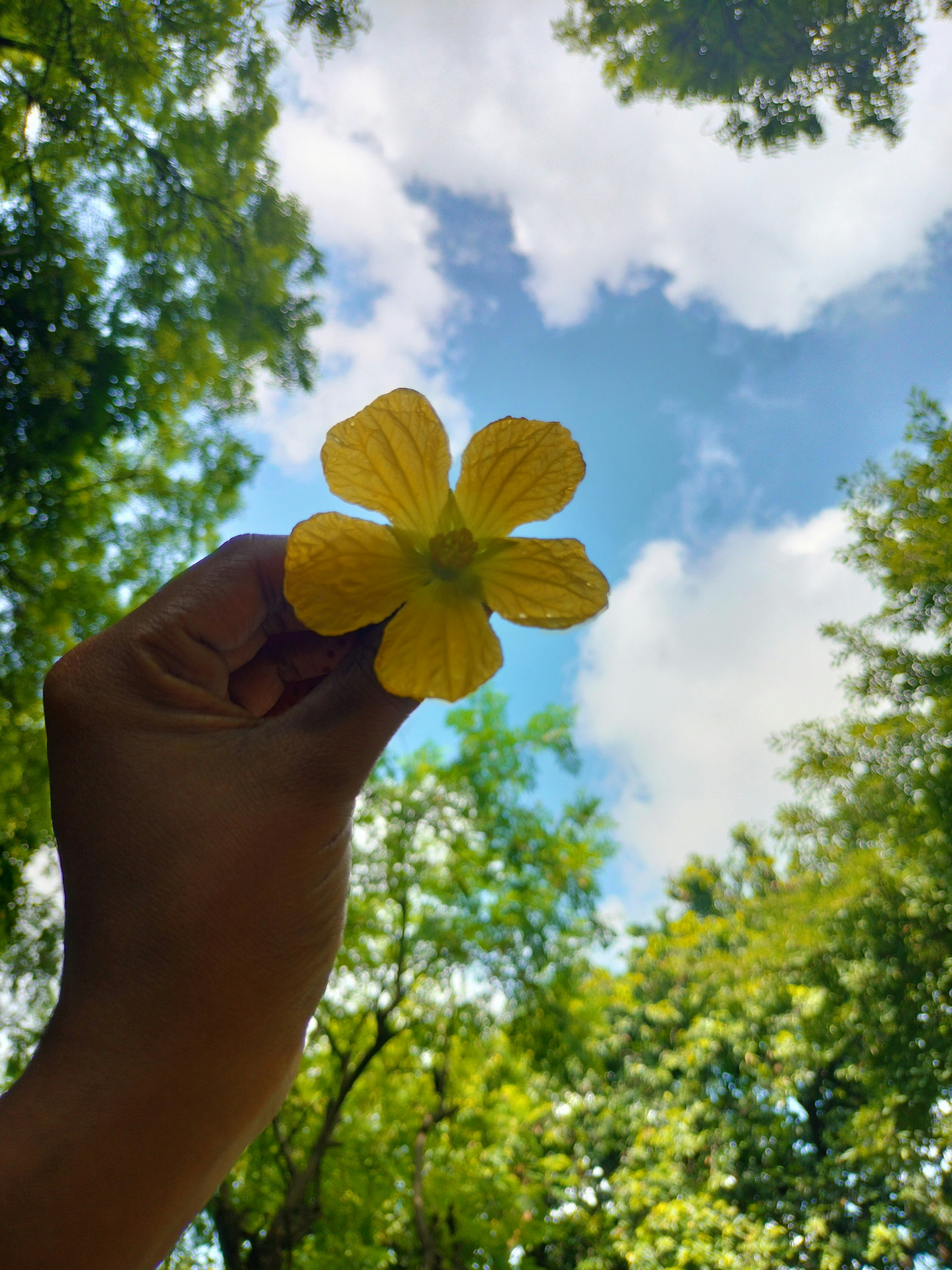 Neha (@ne_ha_00) | Unsplash Photo Community