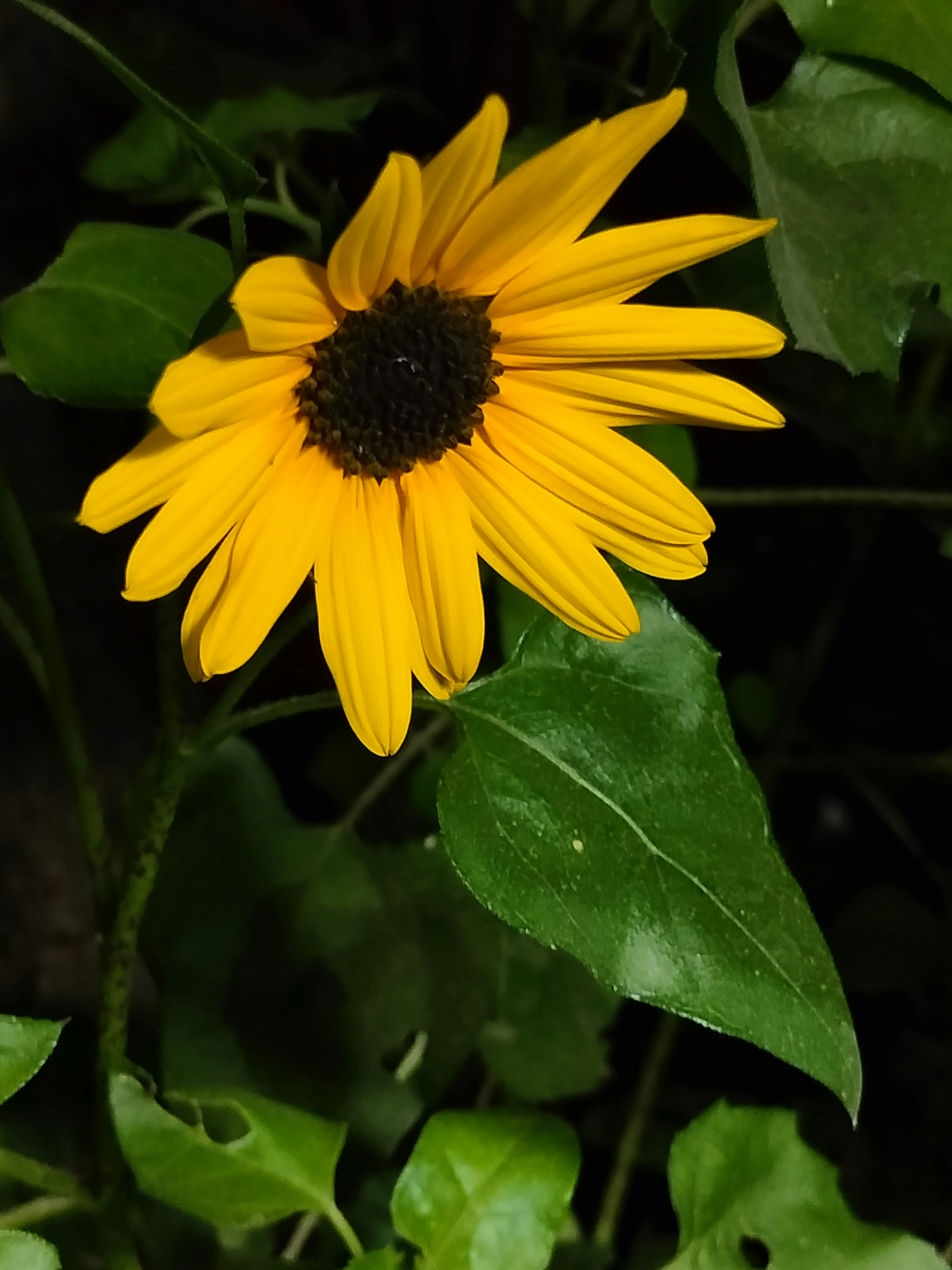 Neha (@ne_ha_00) | Unsplash Photo Community