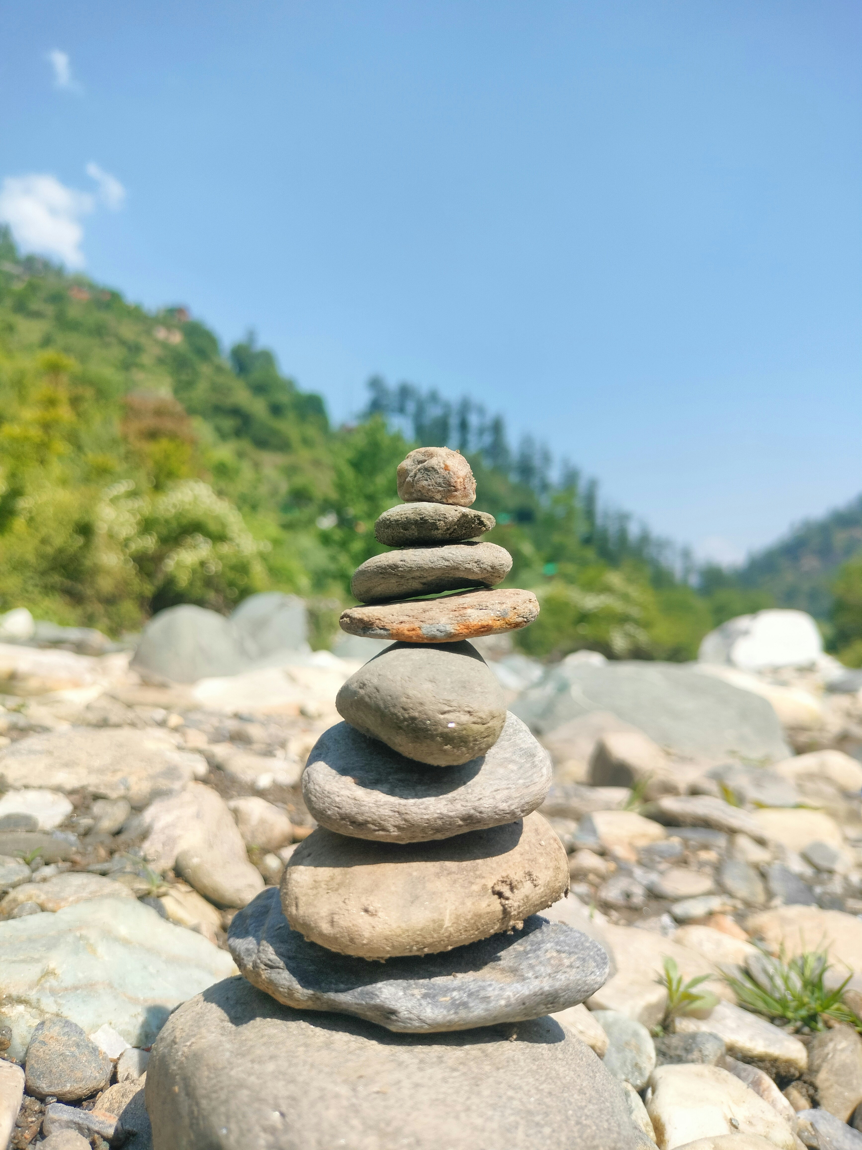 Neha (@ne_ha_00) | Unsplash Photo Community